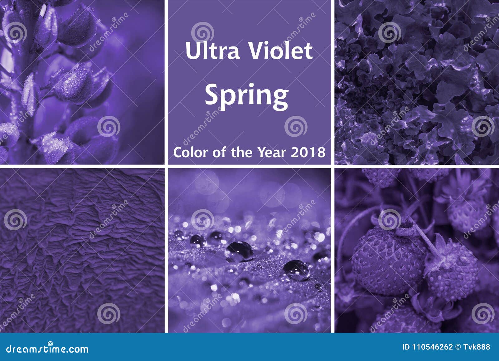 Collage of Ultra Violet - Spring Stock Photo - Image of theme, ultra ...