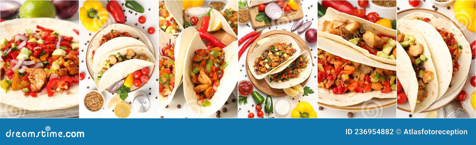 3 Angle Collage Of A Toad Isolated On White Background. Southern Toad ...