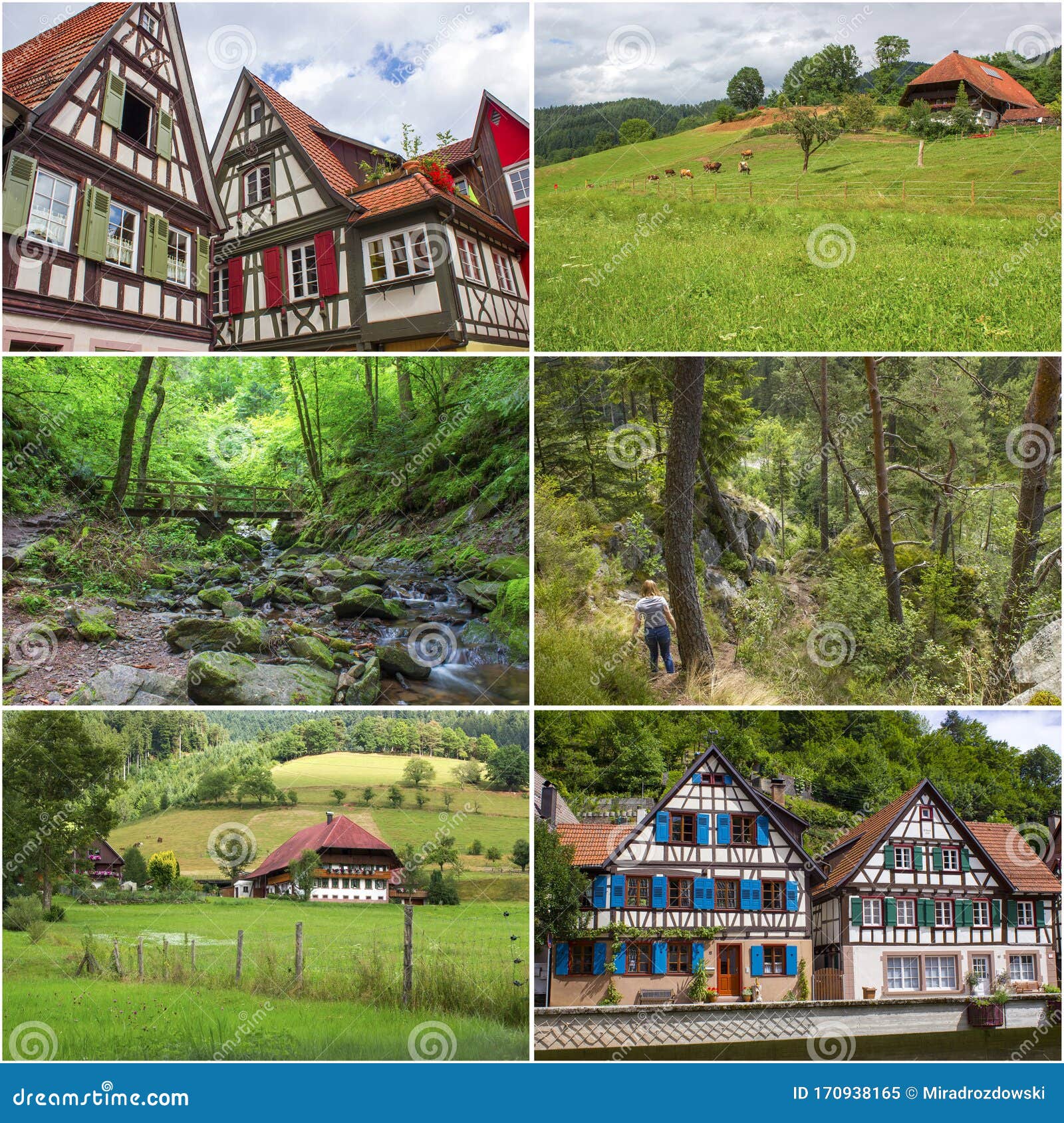Collage with Pictures with Black Forest, Germany Stock Image - Image of ...