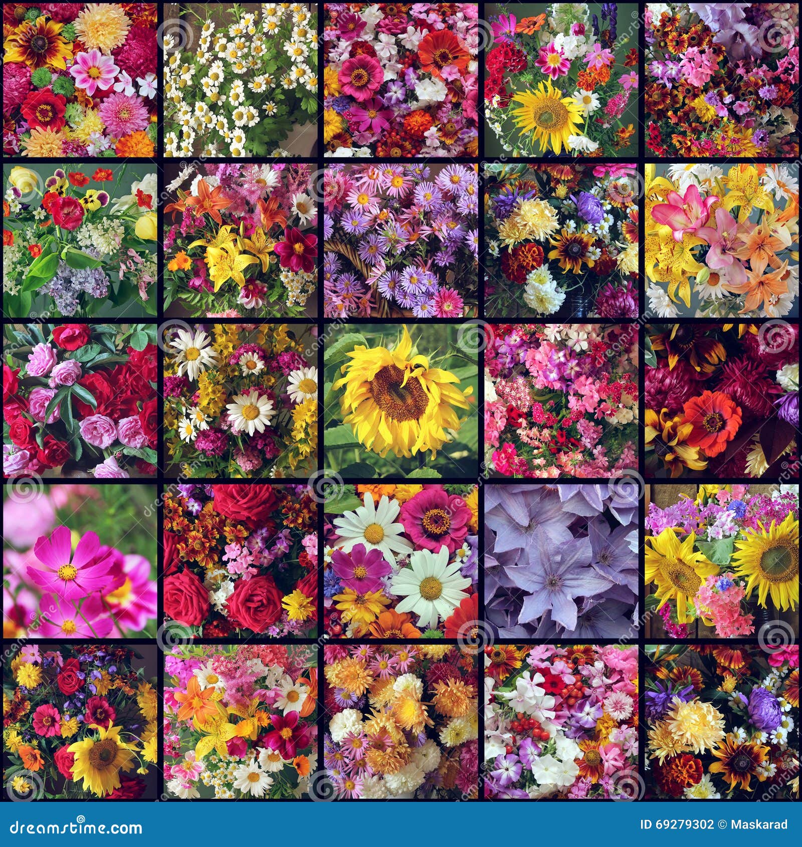 A Collage of Pictures of Different Flowers. Bouquets. Stock Photo ...