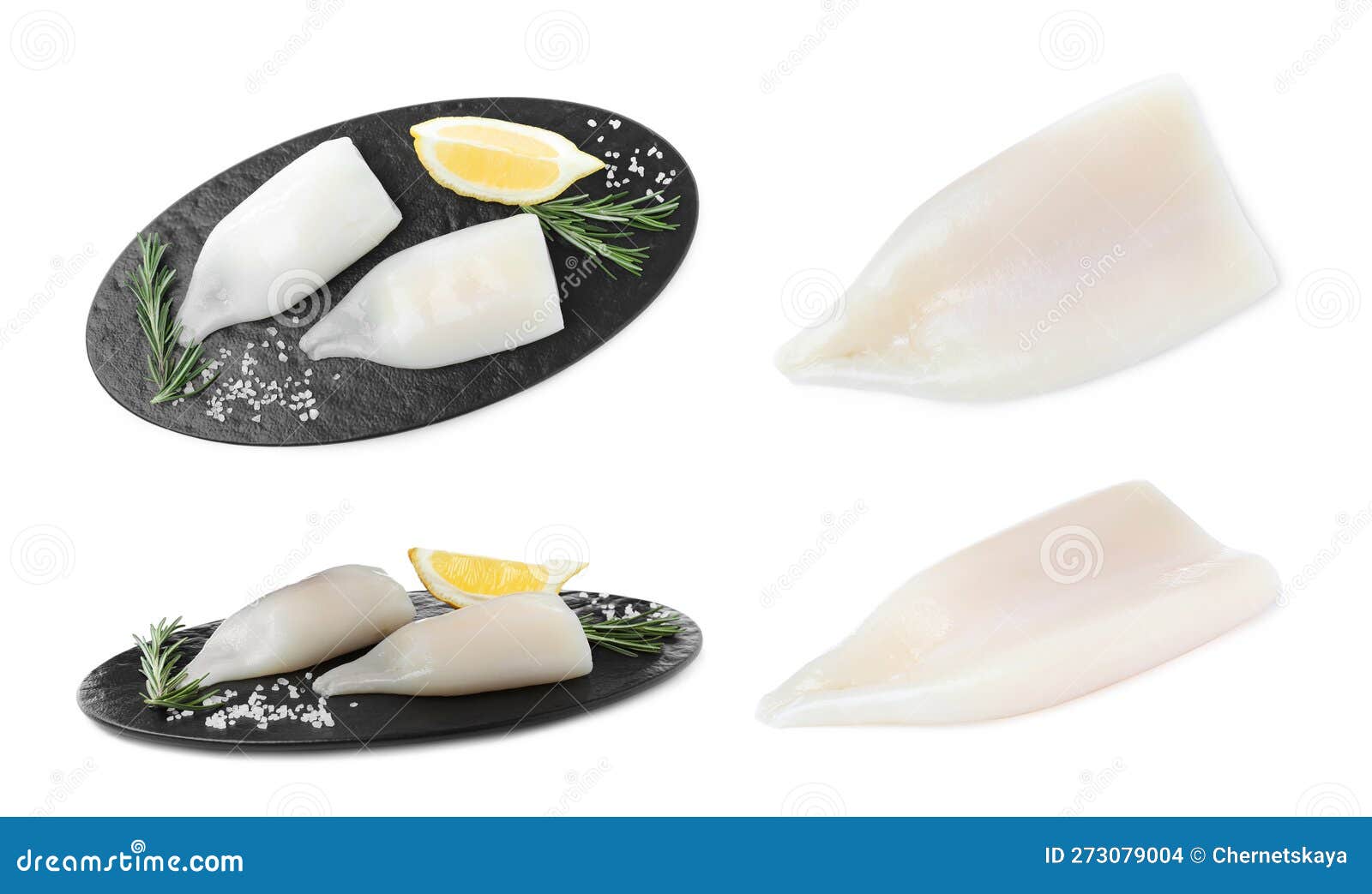 Collage with Pieces of Squids on White Background, Top and Side Views ...