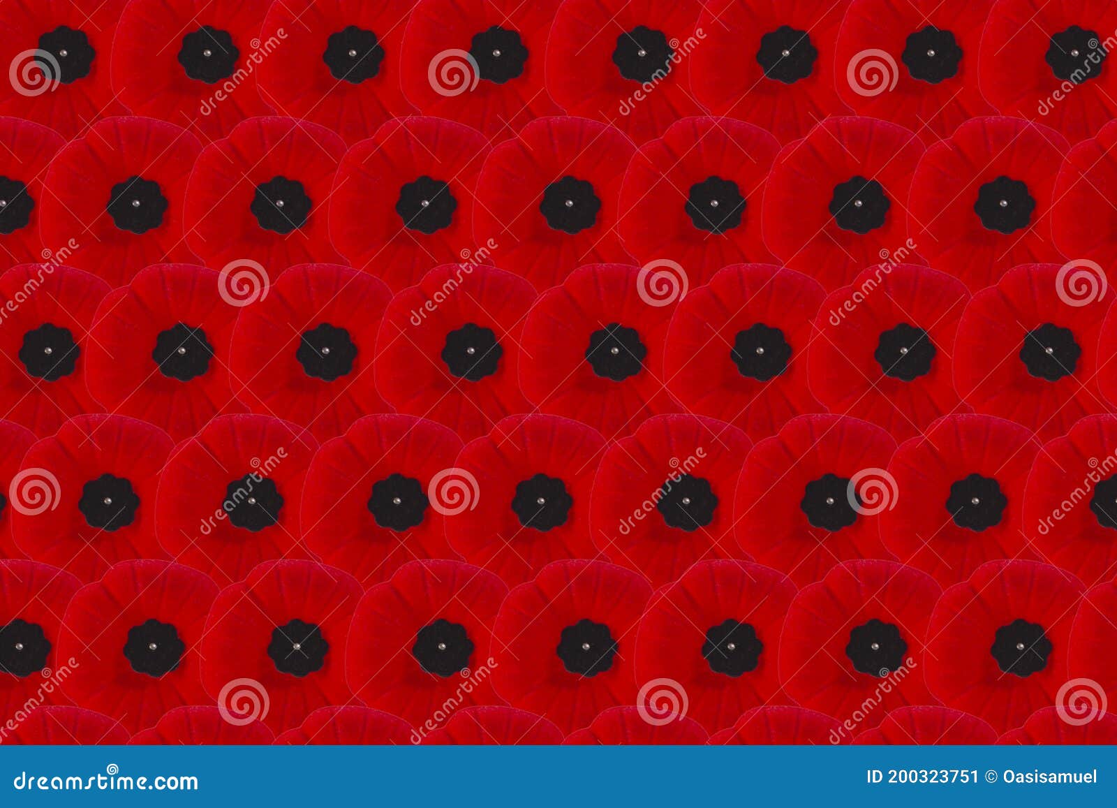 Collage of Red Poppy Flower Stock Image - Image of celebrate, vintage ...