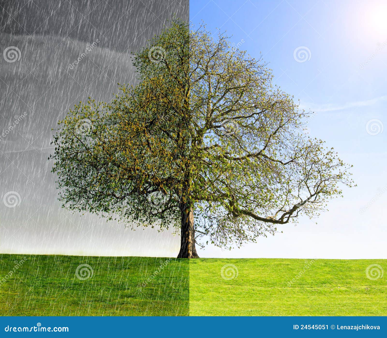 Collage rain vs. sun stock image. Image of liquid, collage - 24545051
