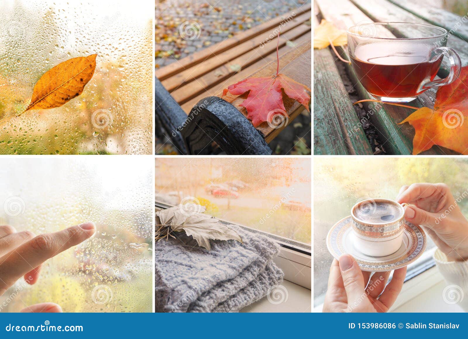 Collage with Rainy Views of Autumn. Stock Photo - Image of green ...