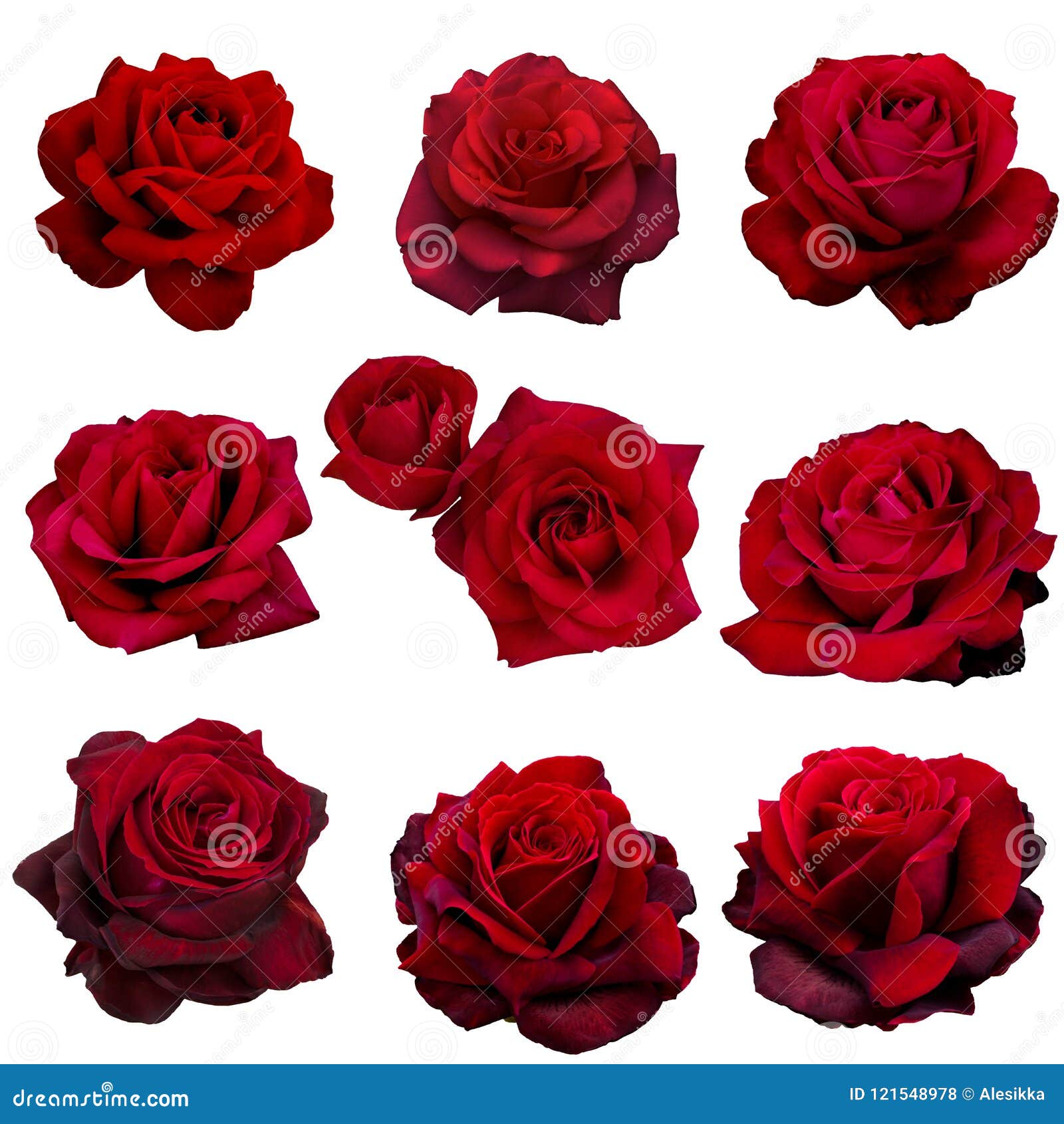 Collage of red roses stock photo. Image of background - 121548978