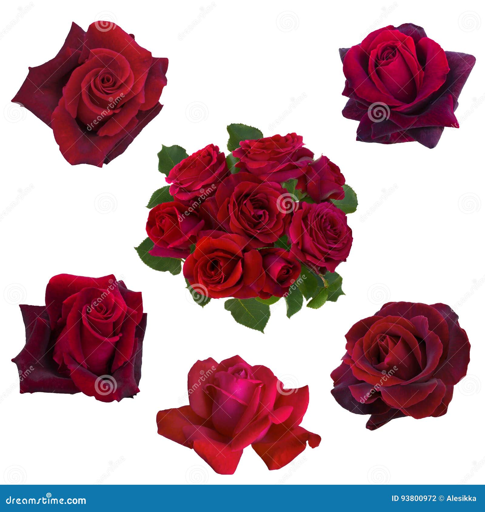 Collage of red roses stock photo. Image of color, collection - 93800972