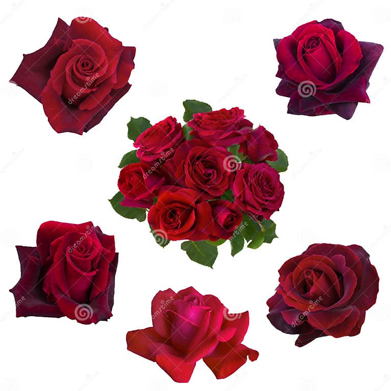 Collage of red roses stock photo. Image of color, collection - 93800972