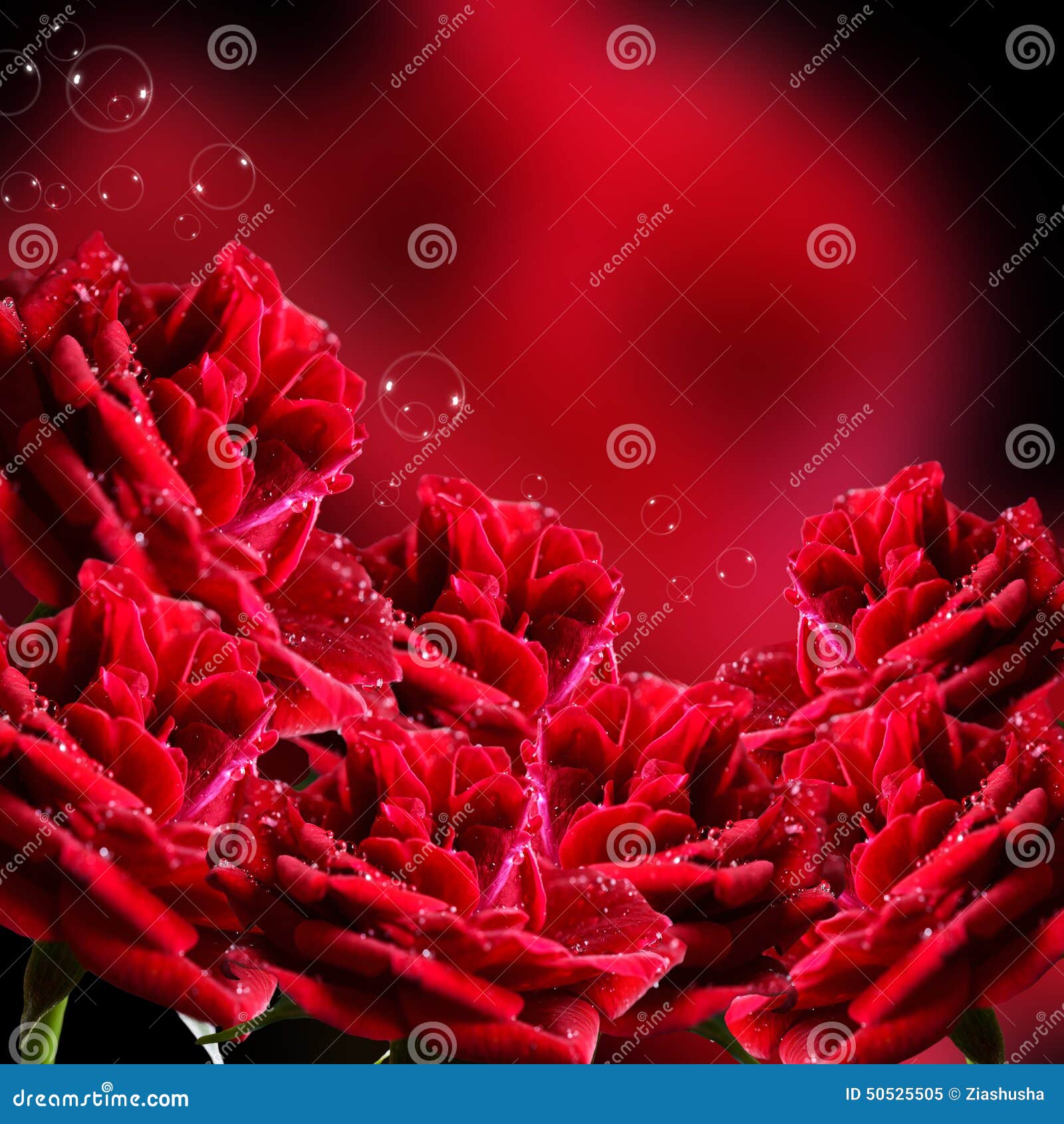 Collage of red roses stock image. Image of bunch, botany - 50525505