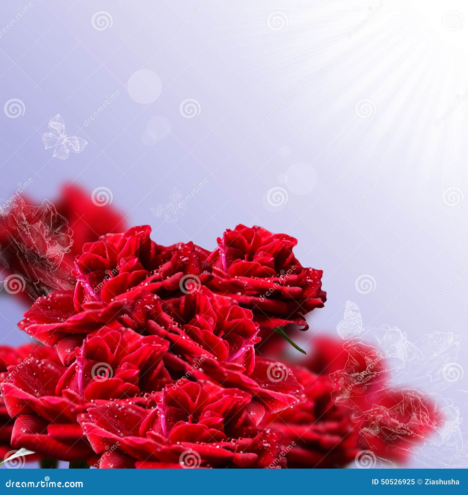 Collage of red roses stock image. Image of decoration - 50526925