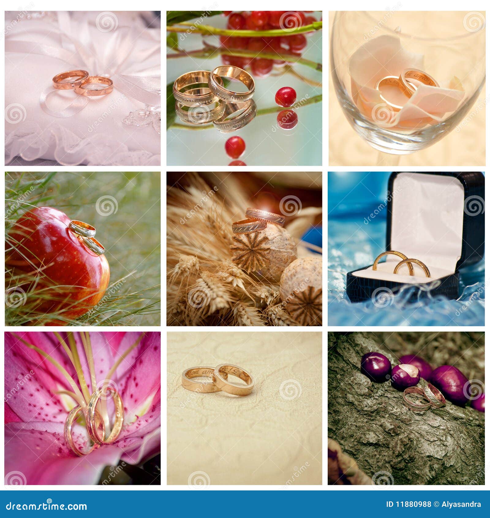 Collage with rings stock photo. Image of collage, flower - 11880988