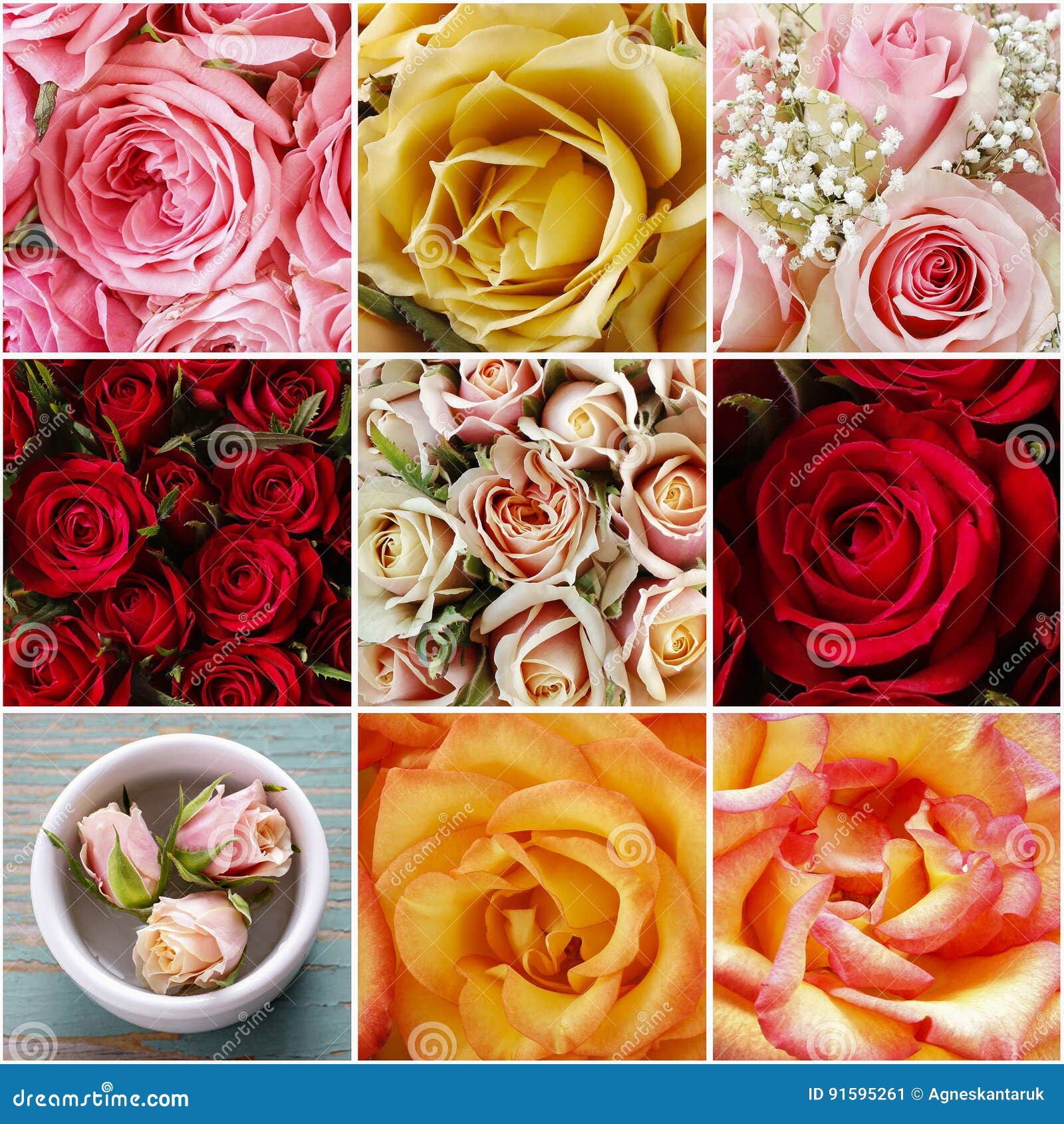 Collage with roses stock image. Image of collage, graphic - 91595261