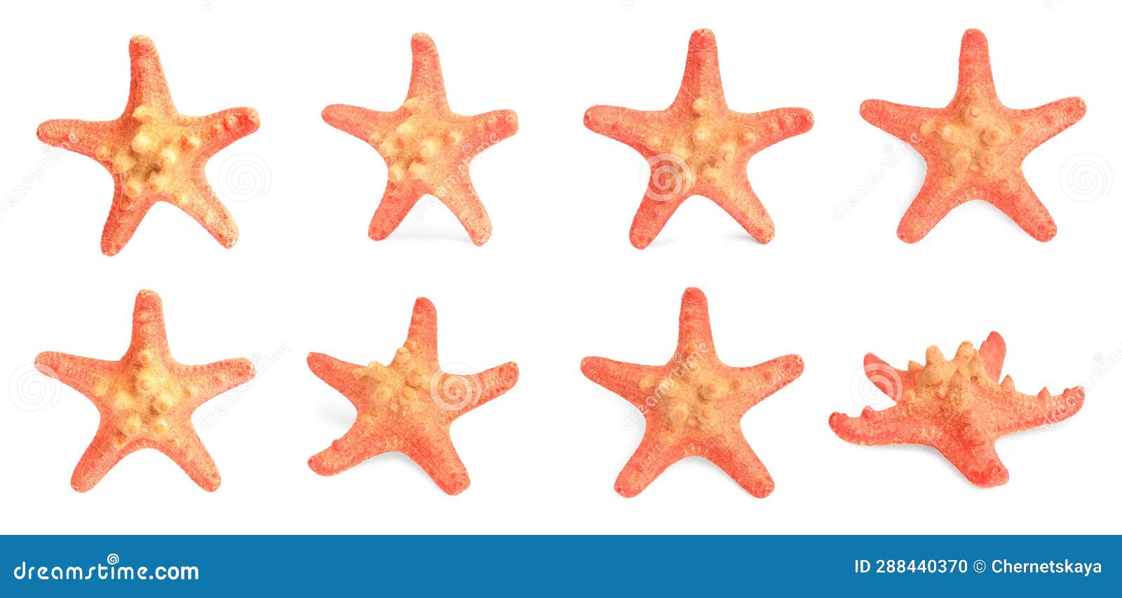 Collage with Sea Star Isolated on White, Different Angles Stock Photo ...