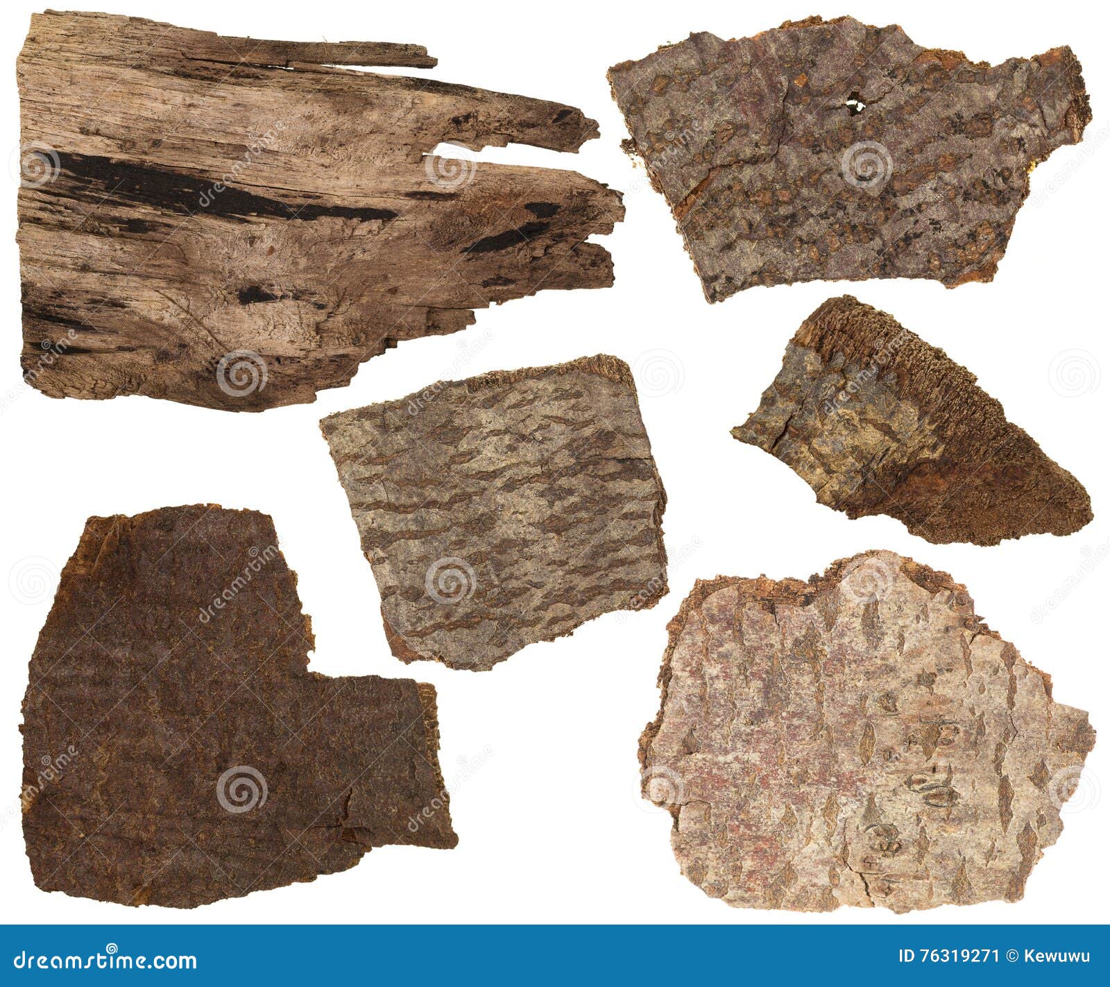 Collage Set of Dried Bark and Parts of Pine Tree Trunk Isolated Stock ...