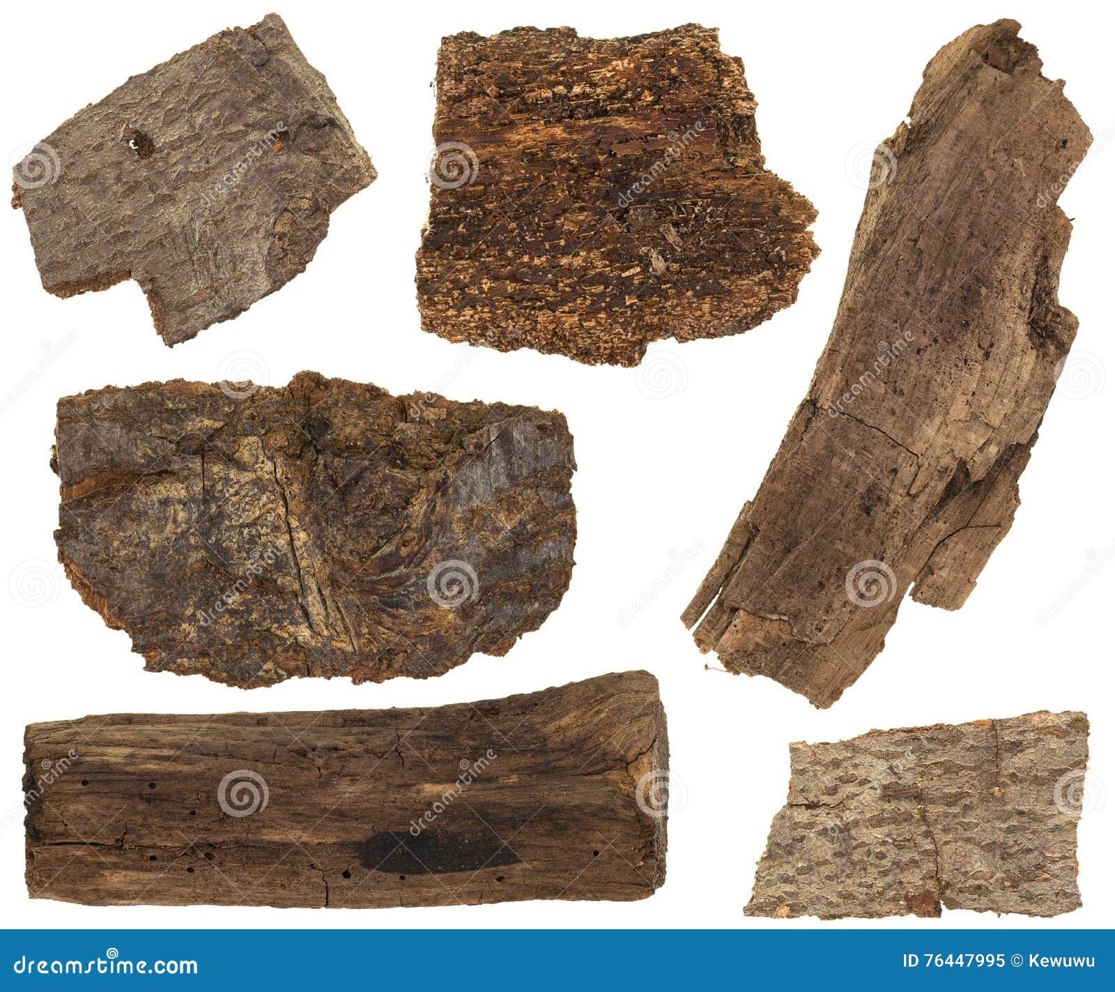 Collage Set of Dried Bark and Parts of Pine Tree Trunk Isolated Stock ...