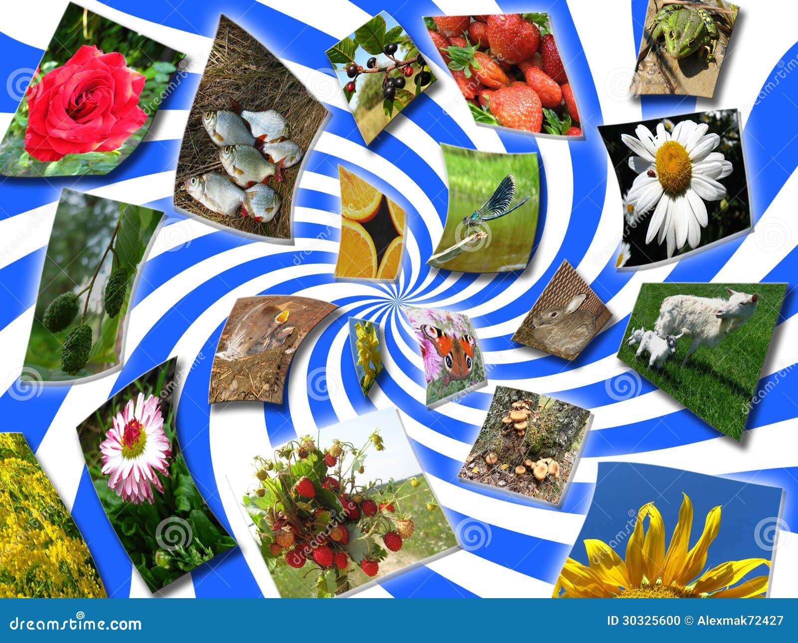 Collage with set of images stock photo. Image of cheerful - 30325600