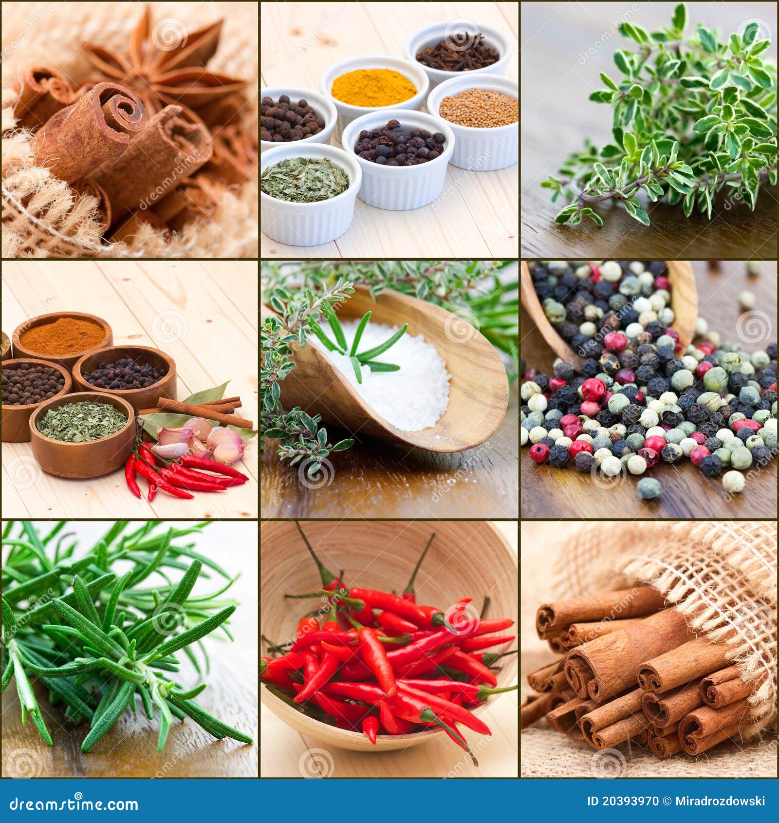 Collage with spices stock photo. Image of ingredients - 20393970