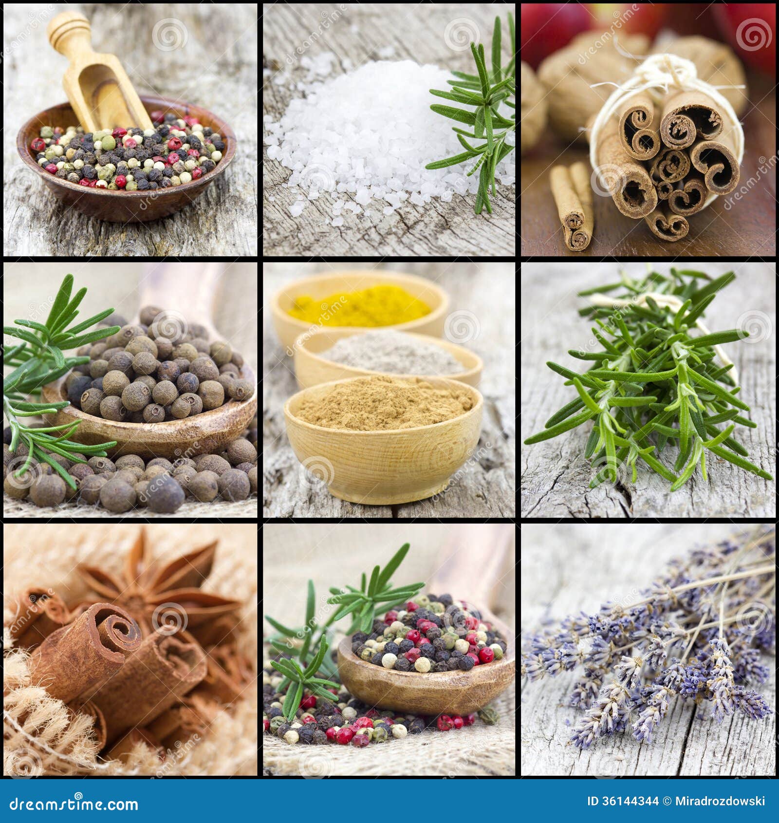 Collage with spices stock photo. Image of bowl, condiments - 36144344