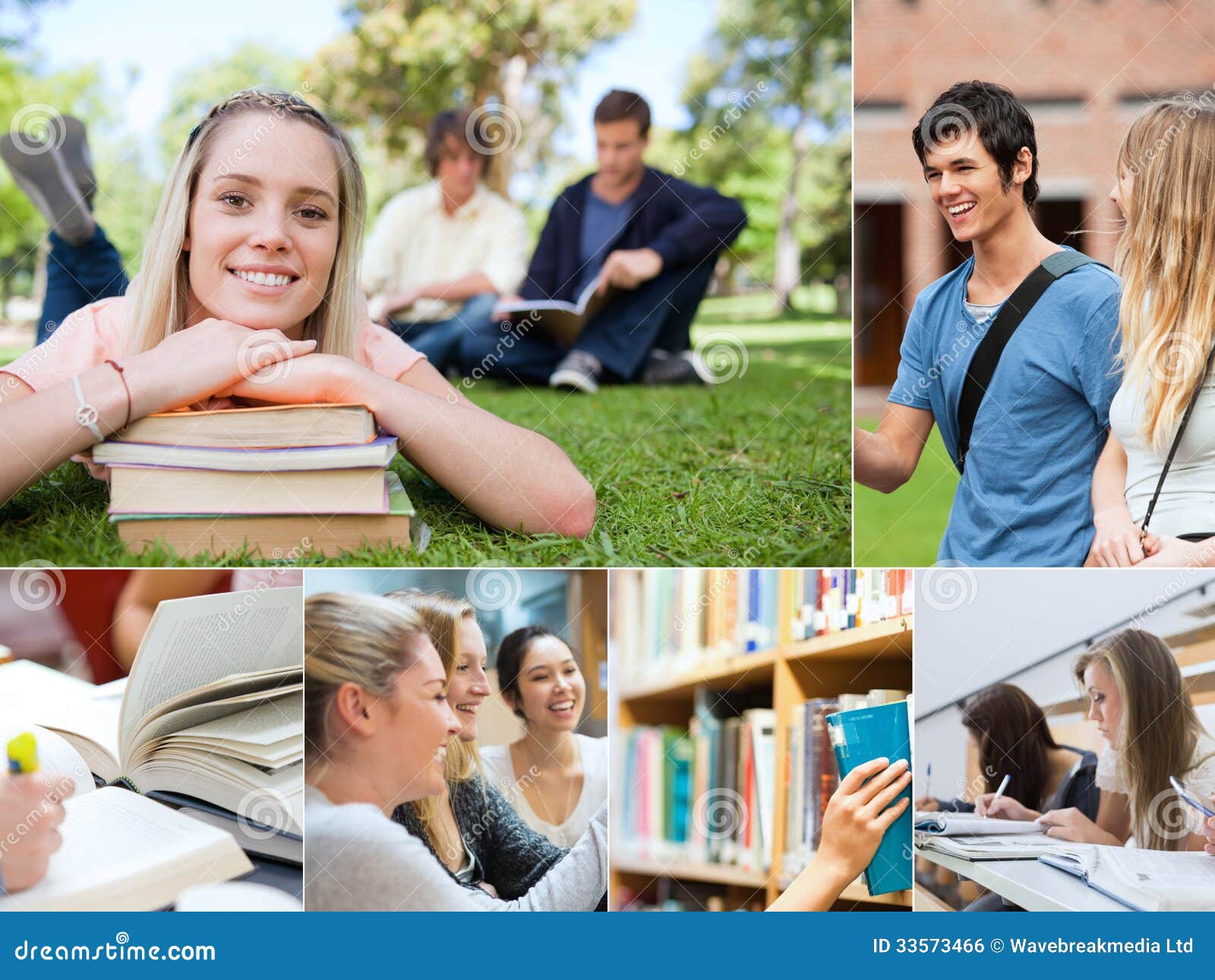 Collage of students stock photo. Image of female, adult - 33573466