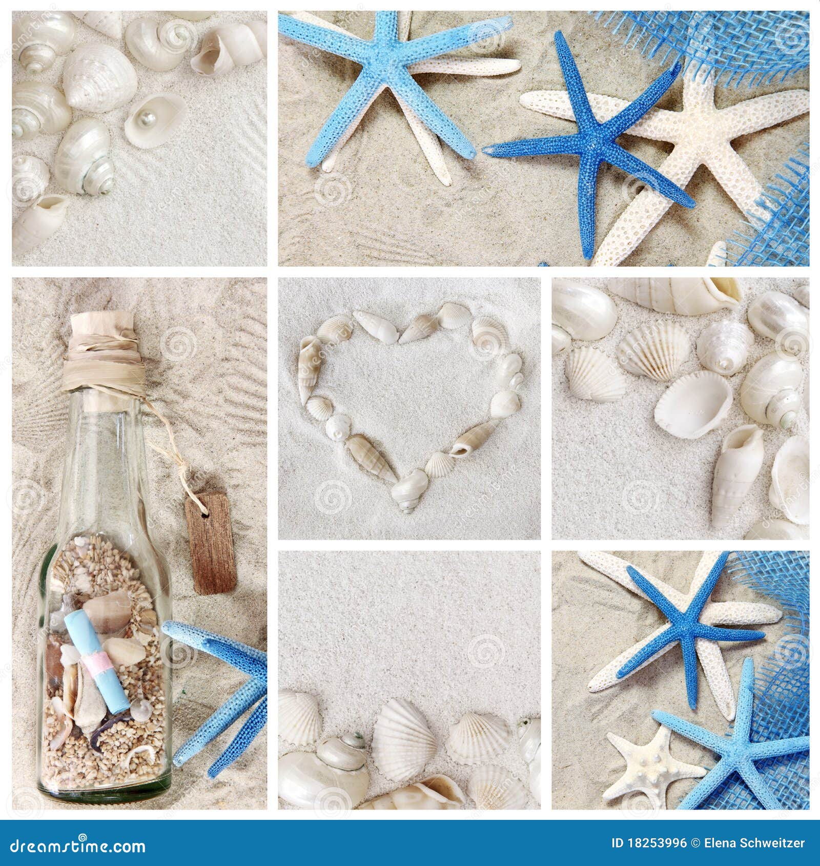 Collage of Summer Seashells Stock Photo - Image of bottle, shell: 18253996