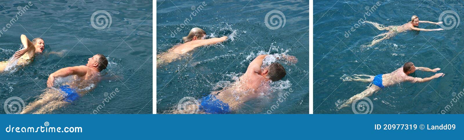 Collage - Swimmers in the Sea Stock Image - Image of hobby, beach: 20977319