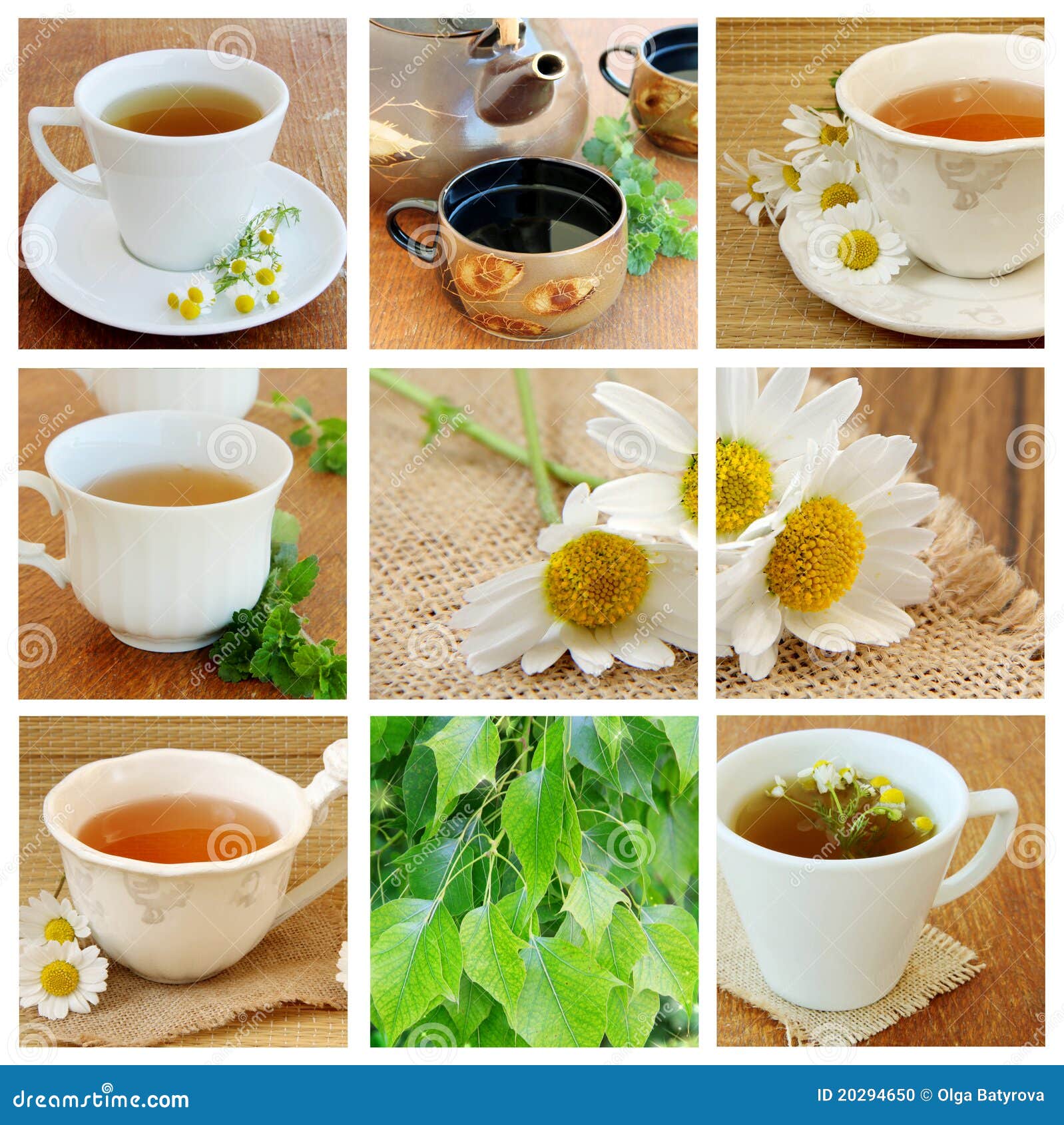 Collage with Tea stock photo. Image of drink, herb, motion - 20294650