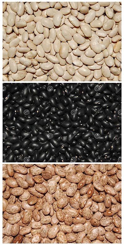 Collage of Three Different Types of Dry Beans Stock Image - Image of ...