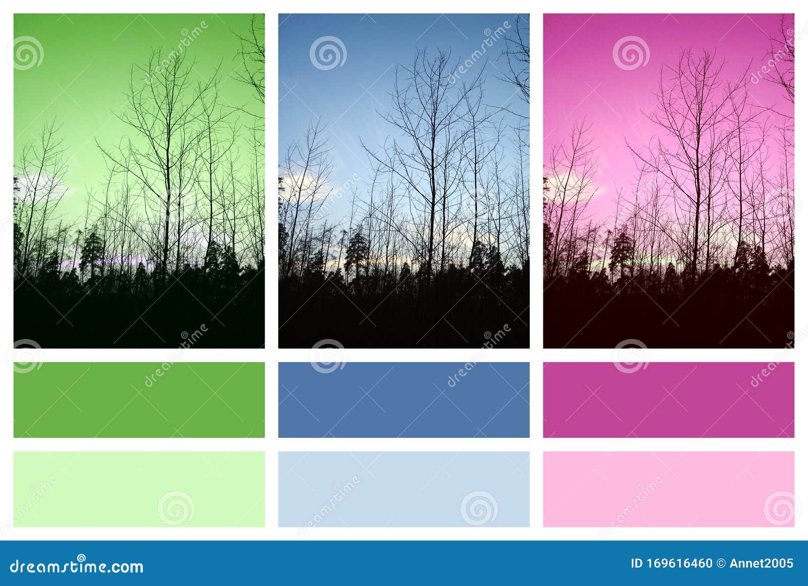 Collage of Three Landscape Types of Trees Silhouette in the Forest and ...