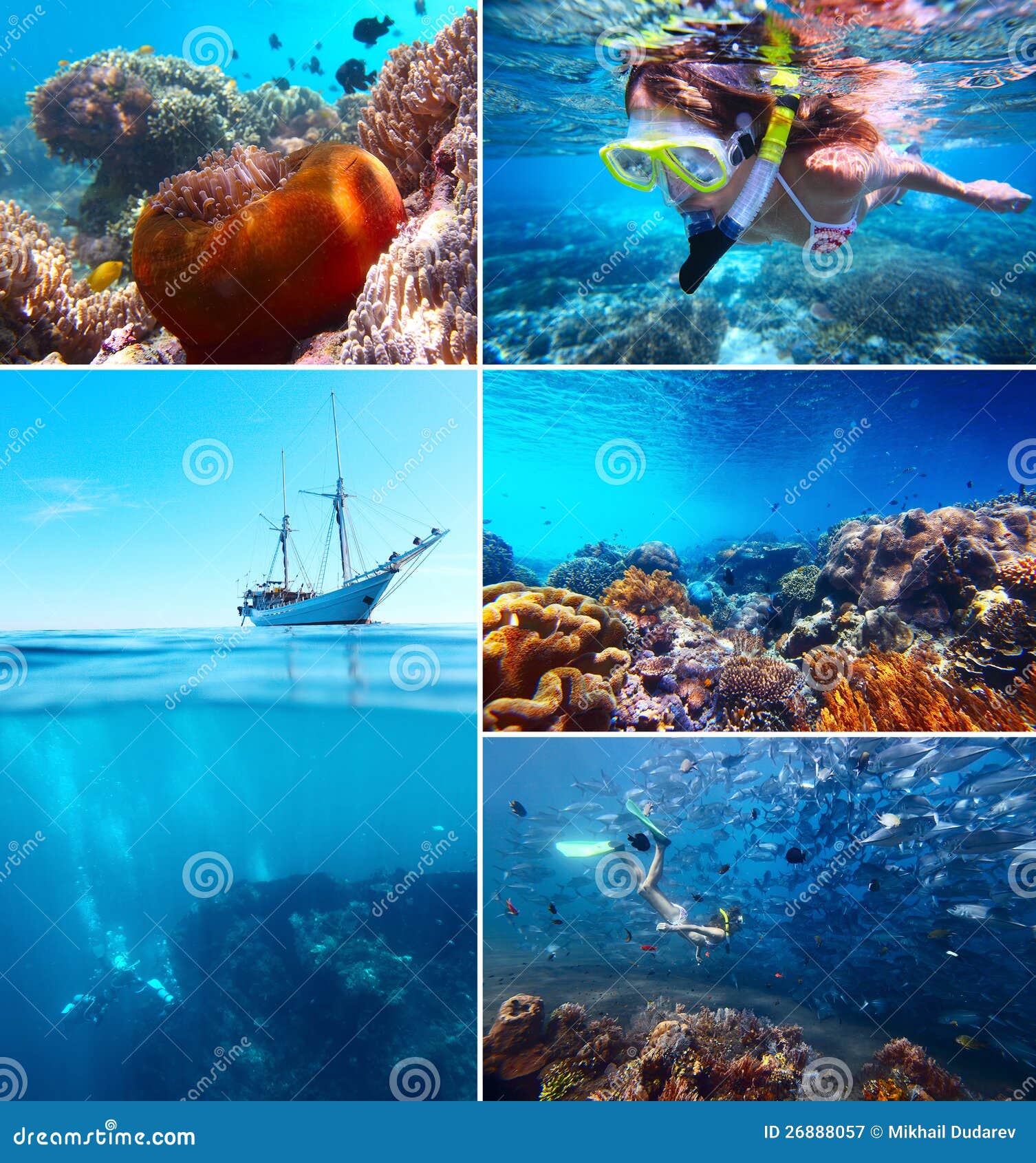Collage Of Underwater Photos. Collection Of Tropical Fishes Stock Image ...