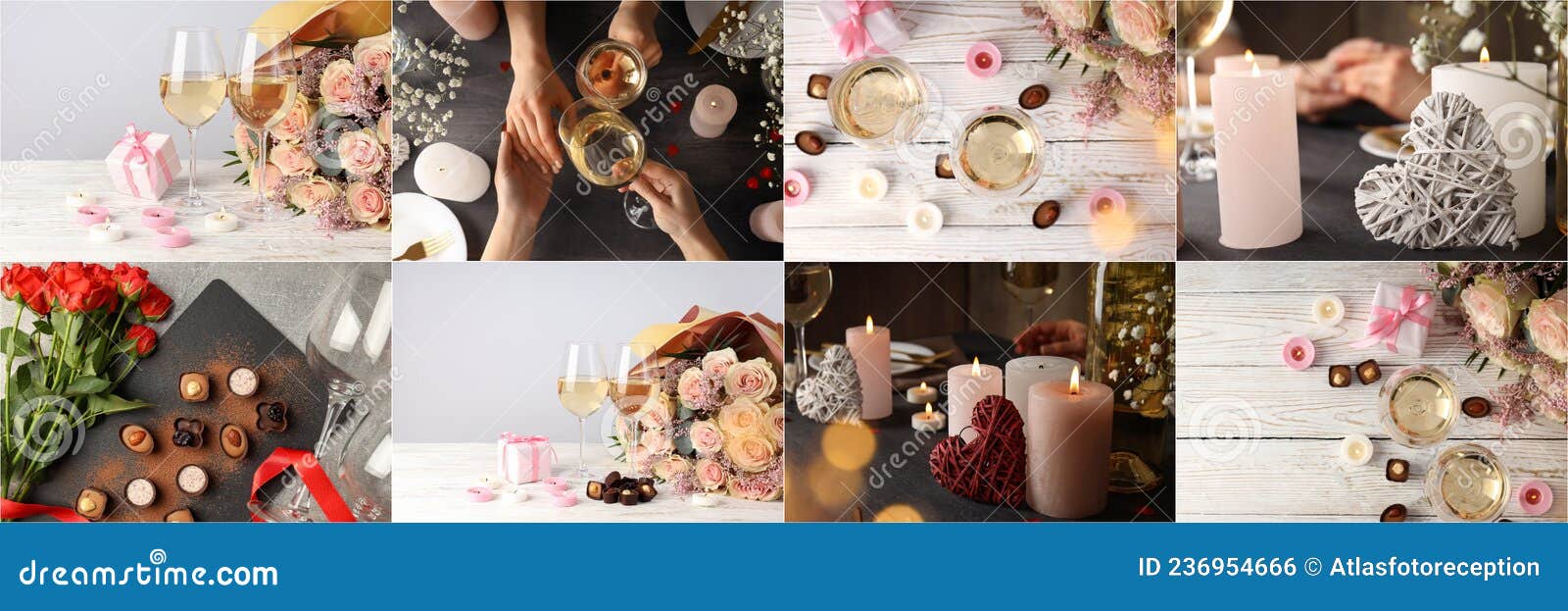 3 Angle Collage Of A Toad Isolated On White Background. Southern Toad ...