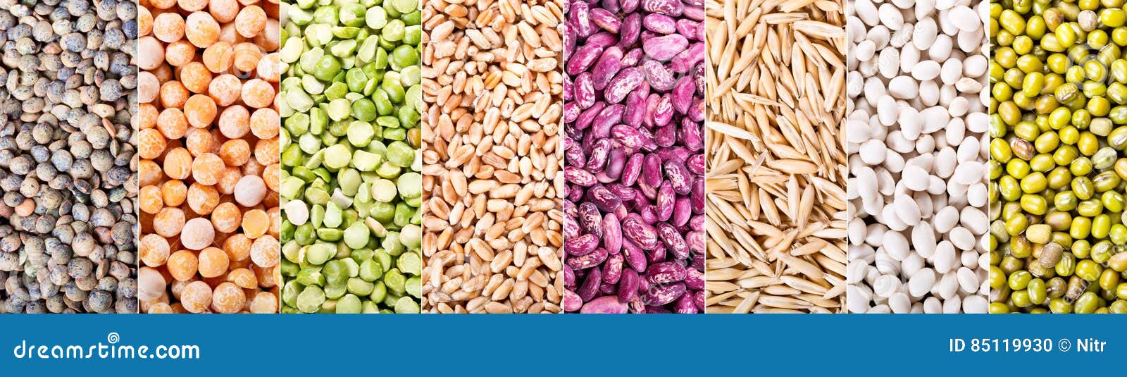 Collage of Various Cereals, Seeds, Beans and Grains Stock Photo - Image ...