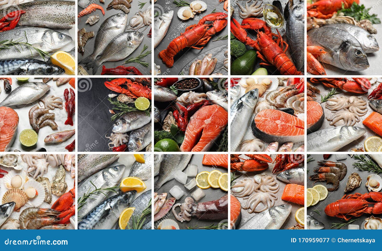 Collage with Various Fishes and Seafood Stock Image - Image of octopus ...