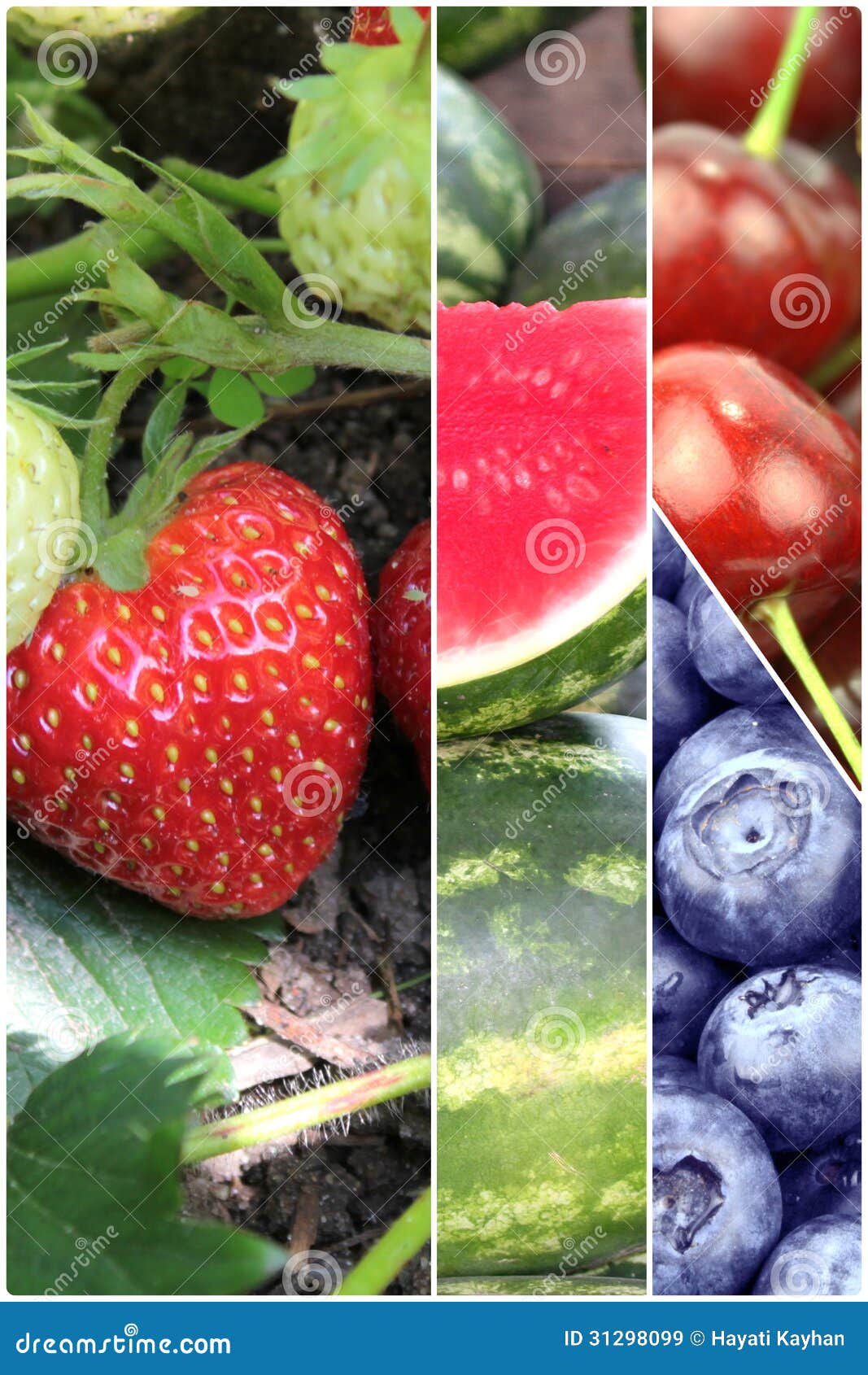 Collage of various fruits stock image. Image of group - 31298099