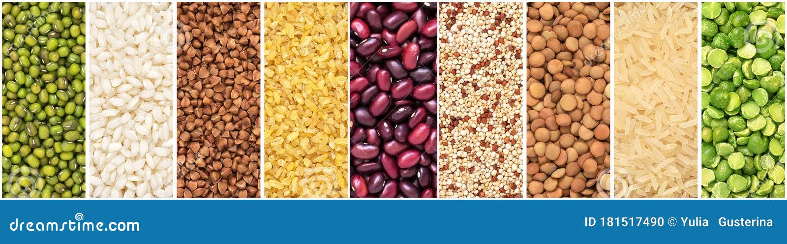 Collage of Various Grains, Panorama. Collection of Various Cereals ...