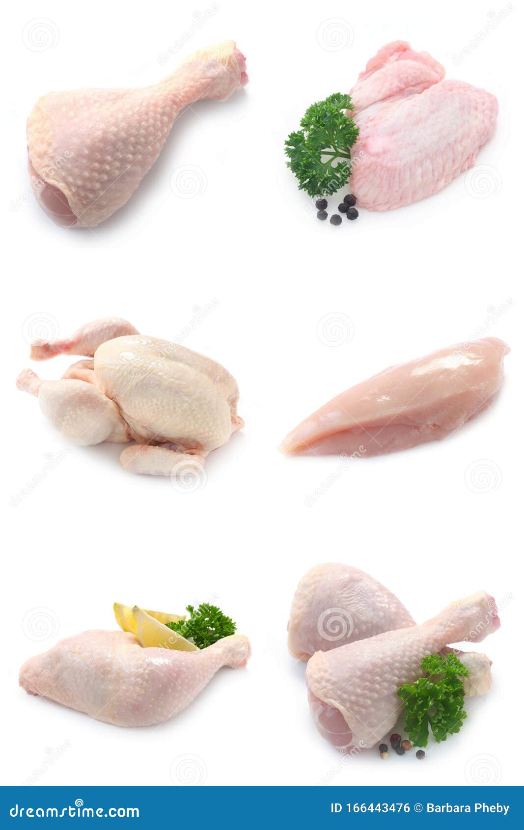Chicken Collection stock photo. Image of isolated, meat - 166443476