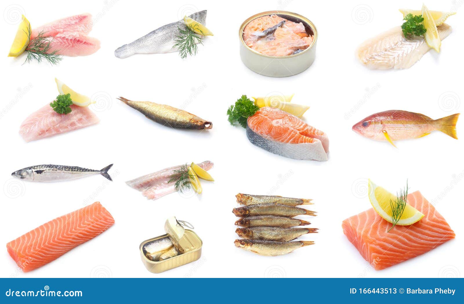 Fish Collection stock image. Image of smoked, collection - 166443513