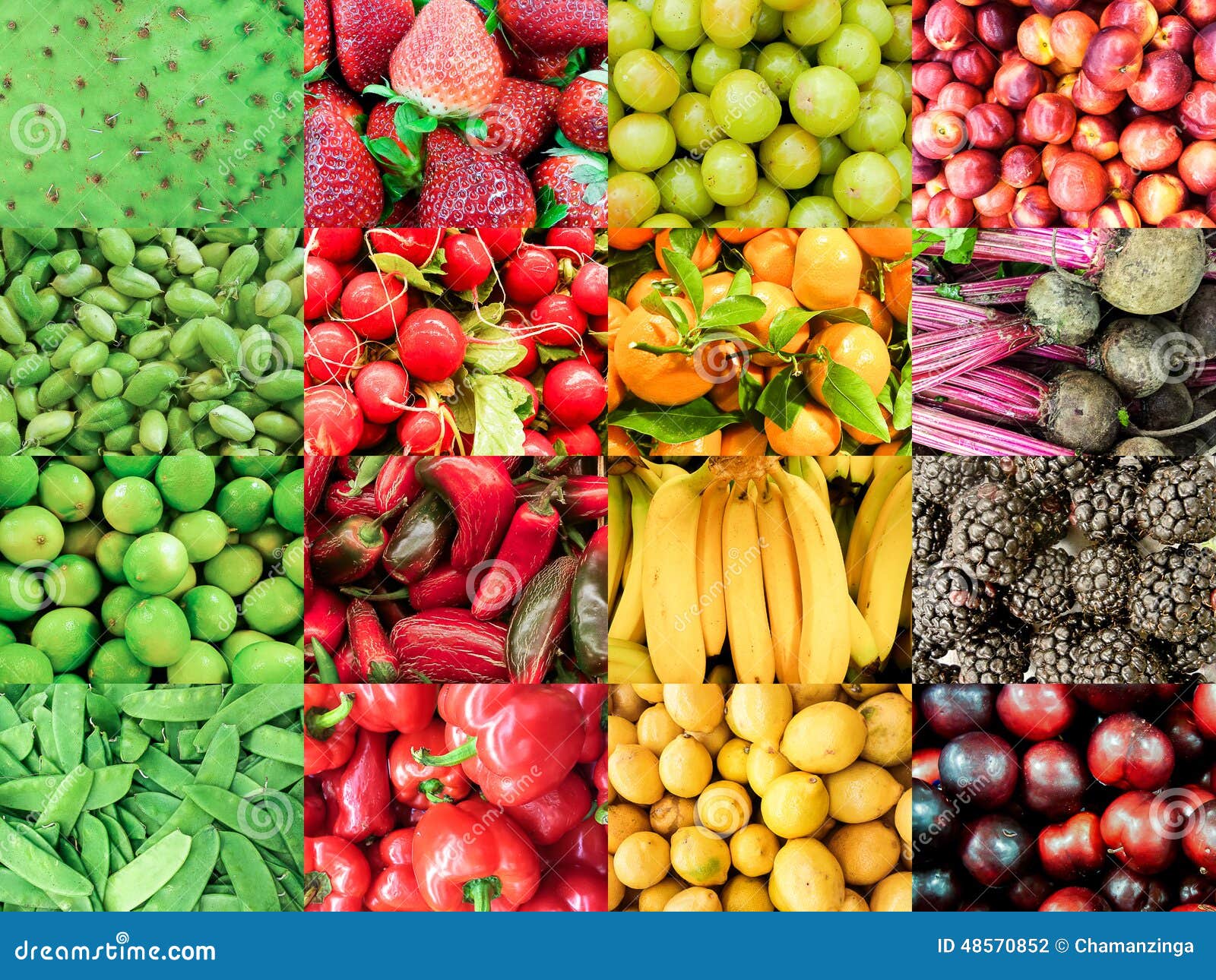 Collage vegetal orgánico foto de archivo. Imagen de generosidad - 48570852
