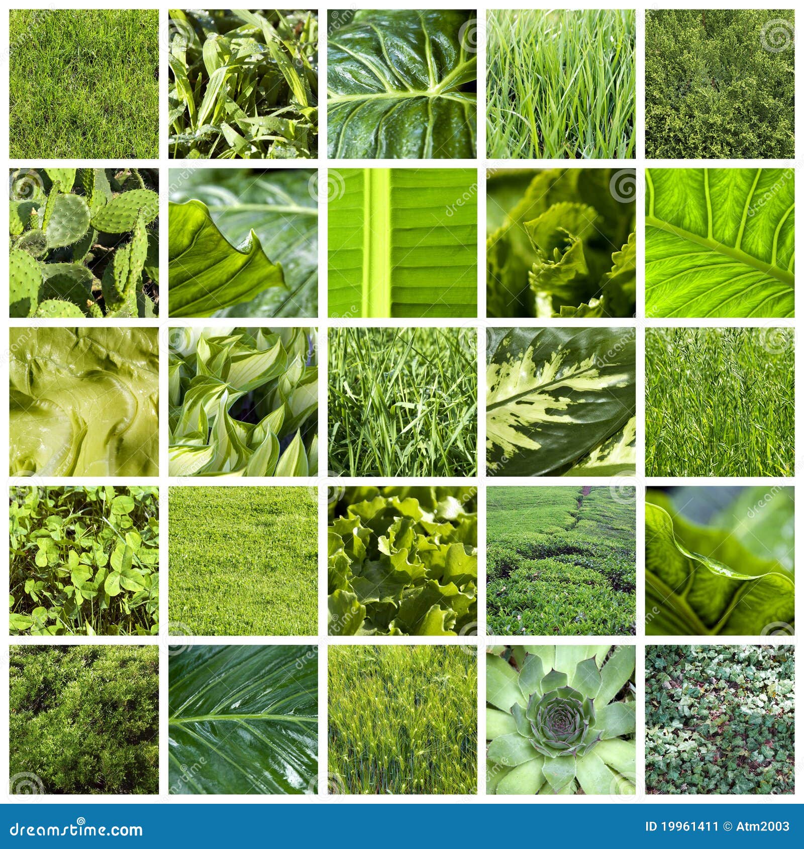 Collage verde imagen de archivo. Imagen de extracto, hierba - 19961411