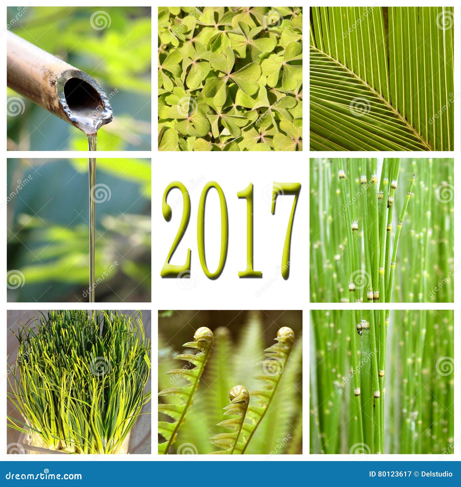 2017, collage verde imagen de archivo. Imagen de equilibrado - 80123617