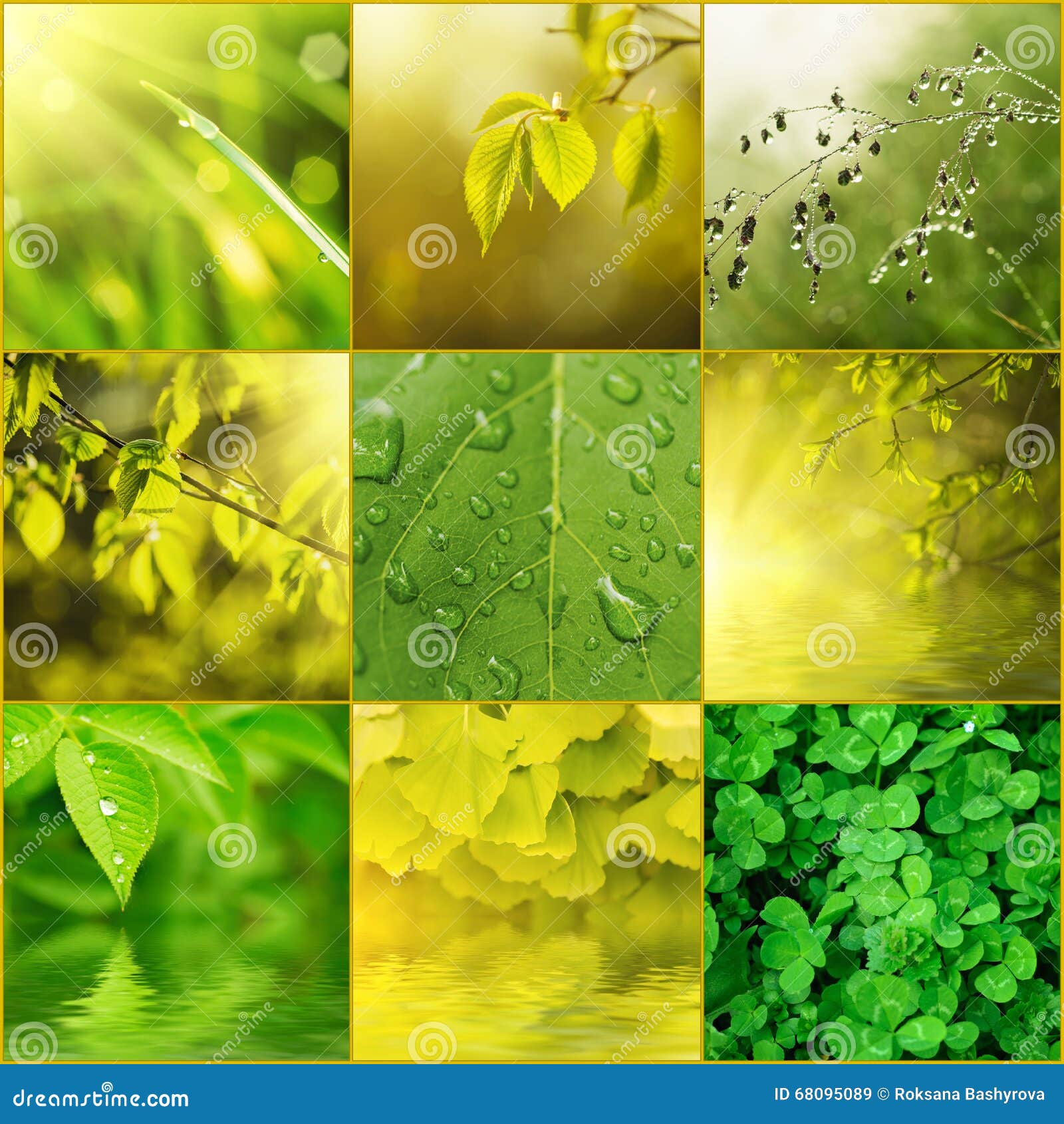 Collage verde del eco imagen de archivo. Imagen de sano - 68095089