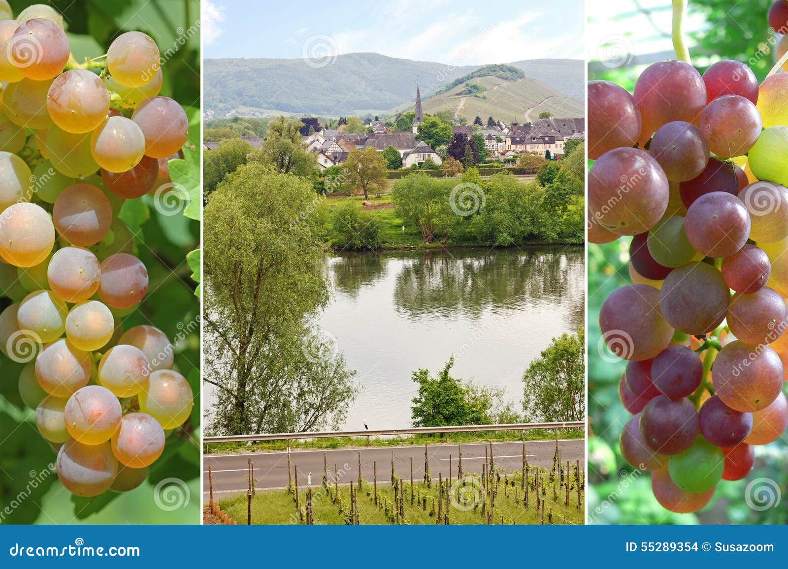 Collage - Vineyard and Grapes Stock Photo - Image of moselle, grapes ...