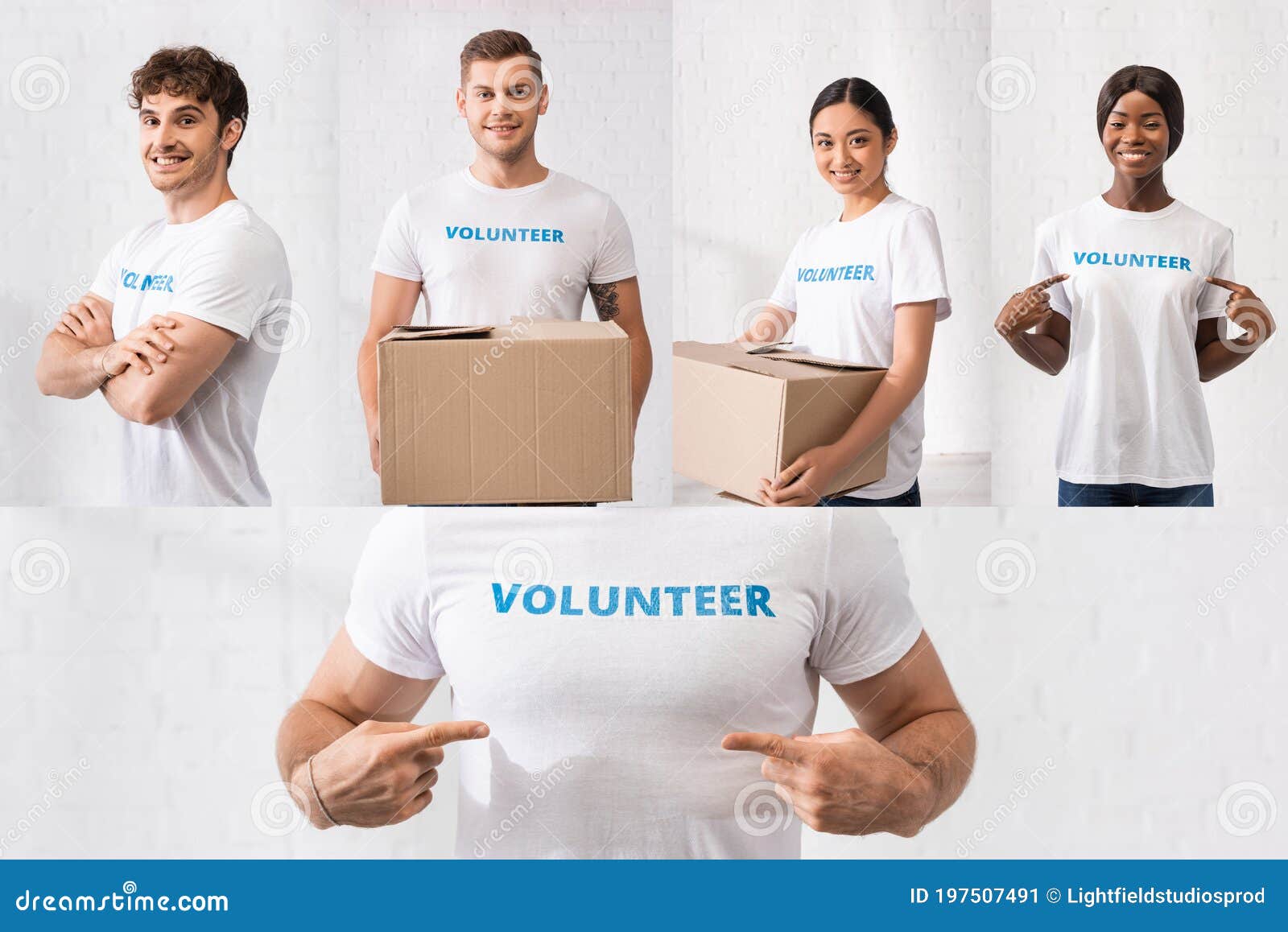 Collage of Volunteers with Package Looking Stock Image - Image of signs ...