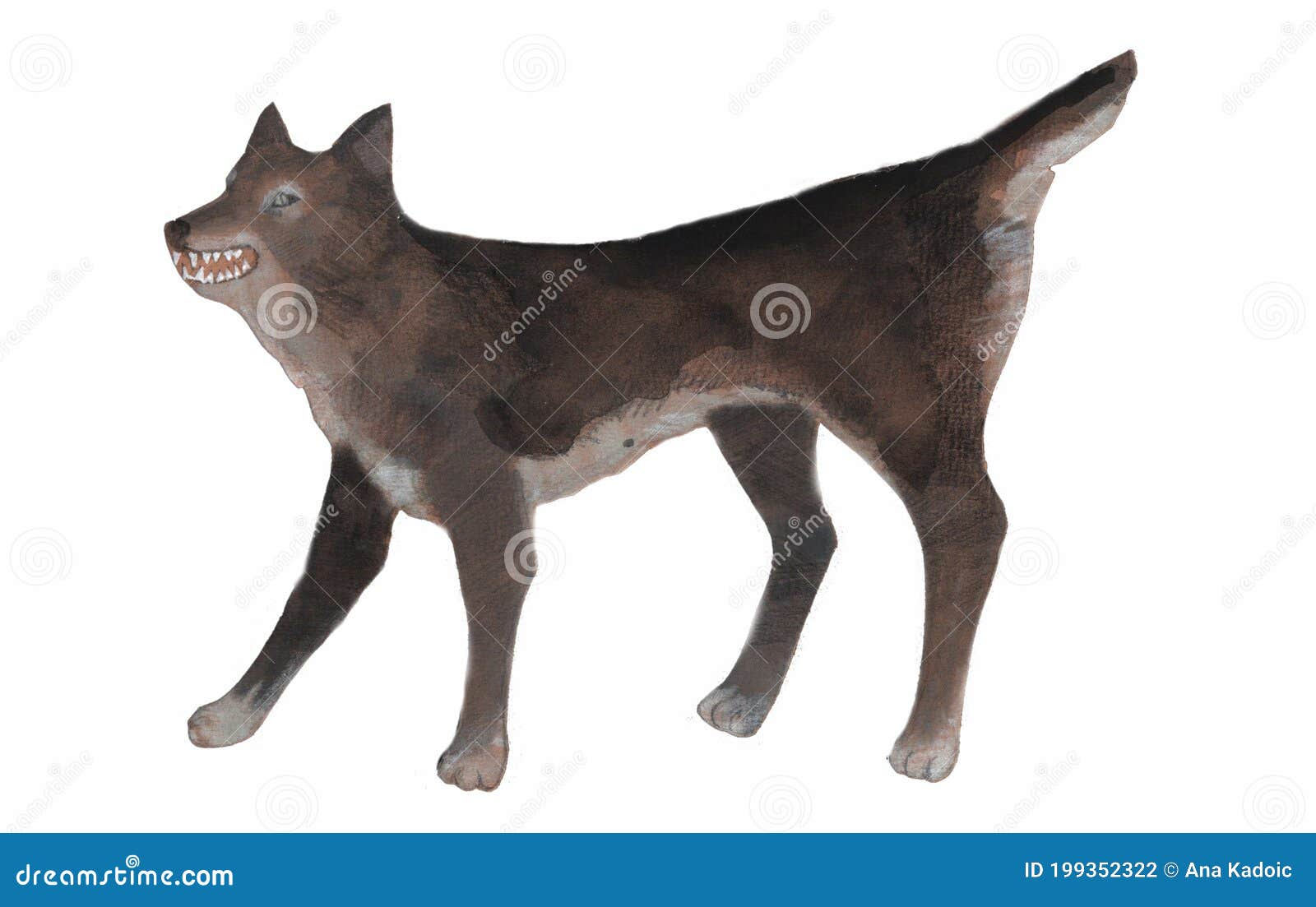 Collage, Watercolor and Crayon Illustration of a Wolf Stock Photo ...