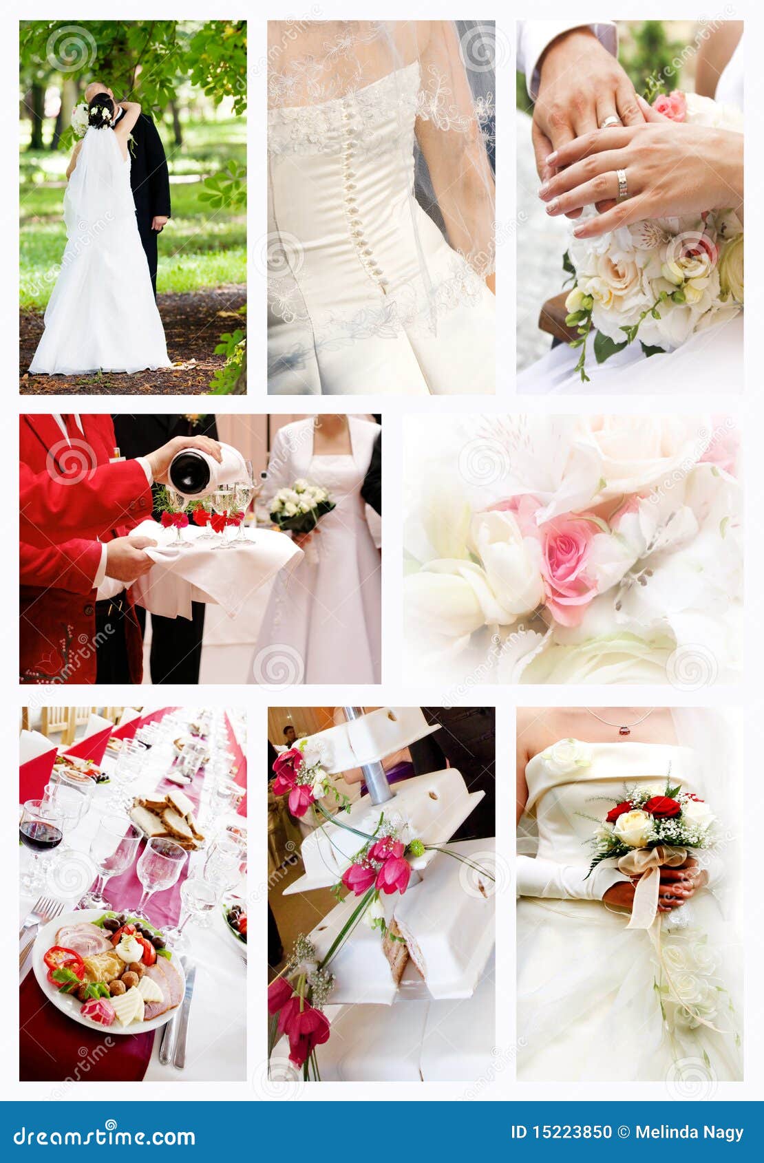 Collage of wedding photos stock photo. Image of groom - 15223850