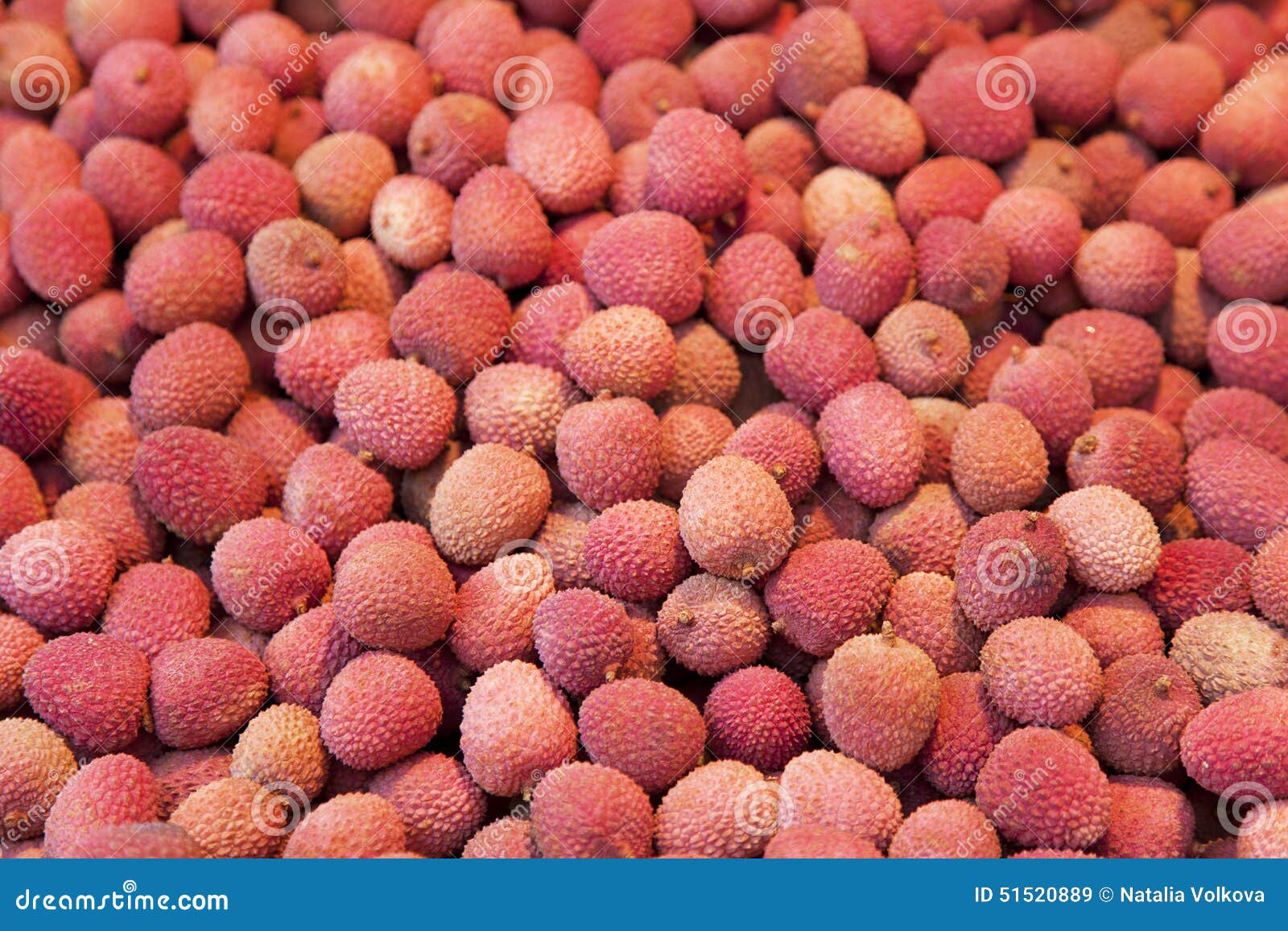 Lychee fruit stock image. Image of lichee, nutritious - 51520889