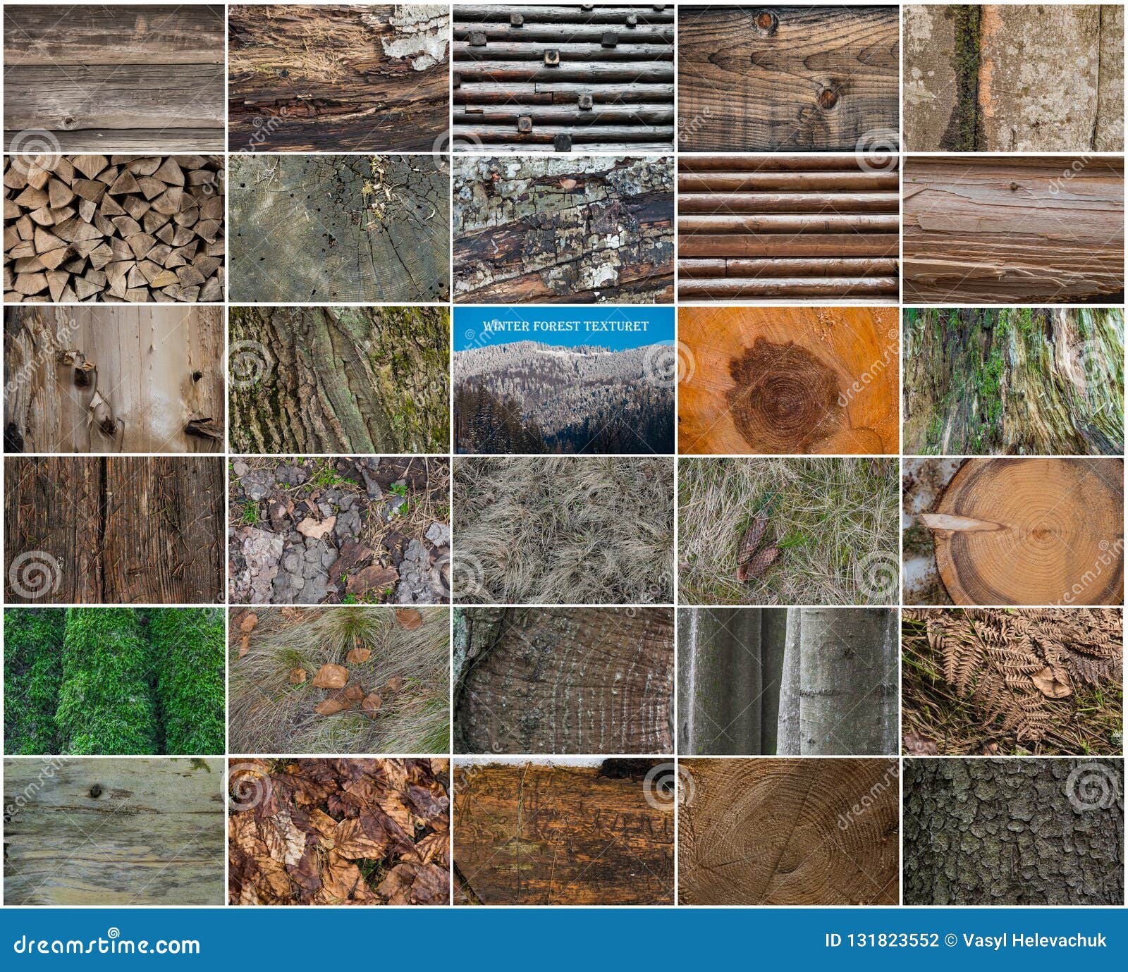 Collage Winter Forest Texture Stock Photo - Image of space, blue: 131823552