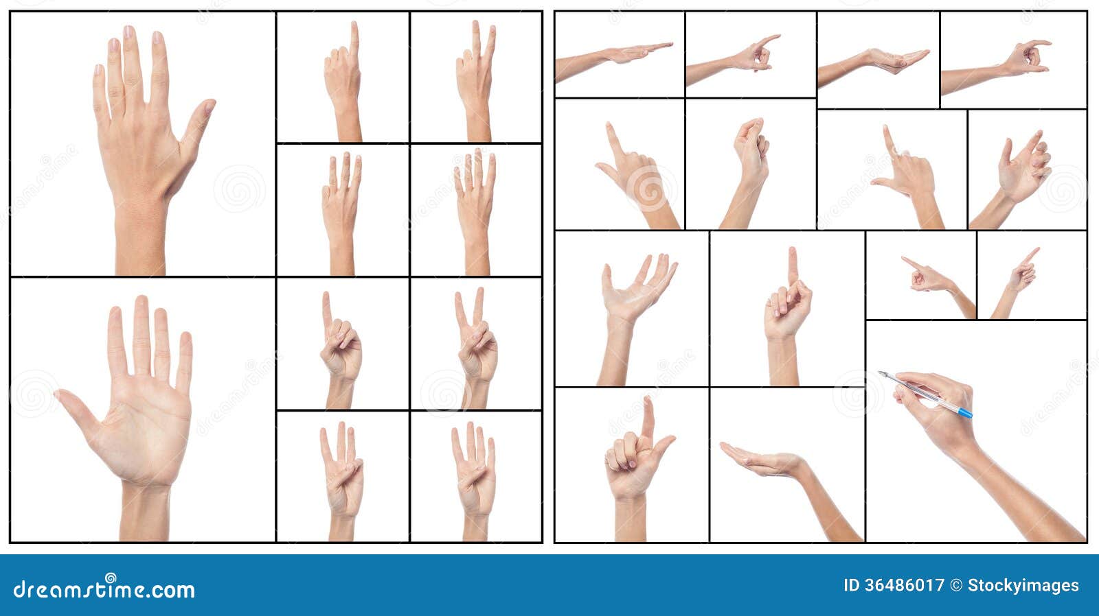 Collage of Woman Hands, Various Gestures. Stock Image - Image of ...