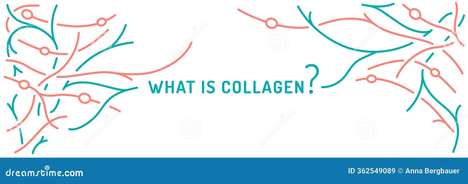 Collagen Line Web Banner. Connective Tissue Protein Stock Illustration ...