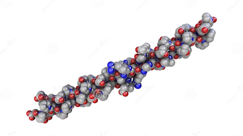 Collagen Molecule, 3D Illustration Stock Illustration - Illustration of ...