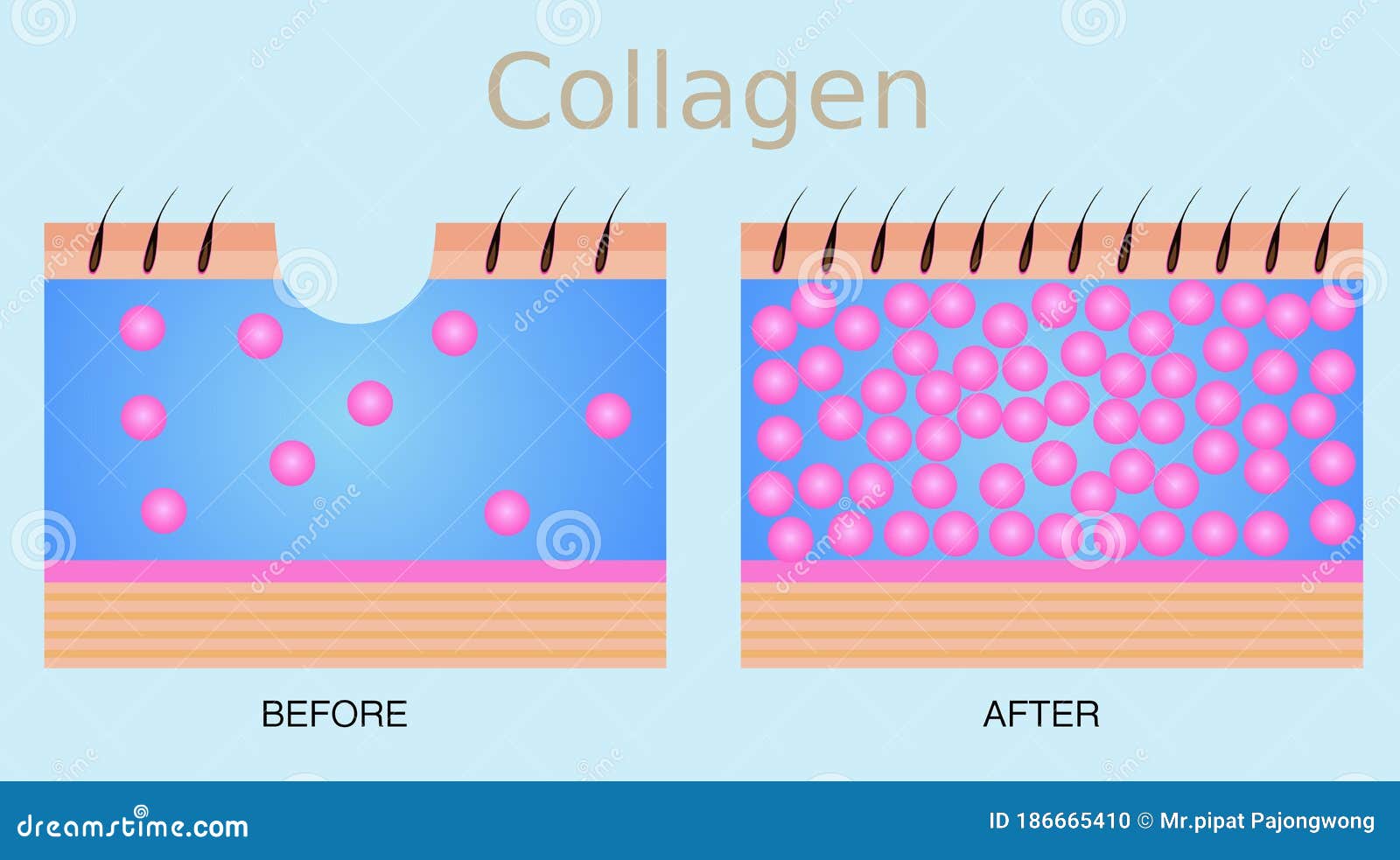 Collagen ,skin vector stock vector. Illustration of cosmetic - 186665410