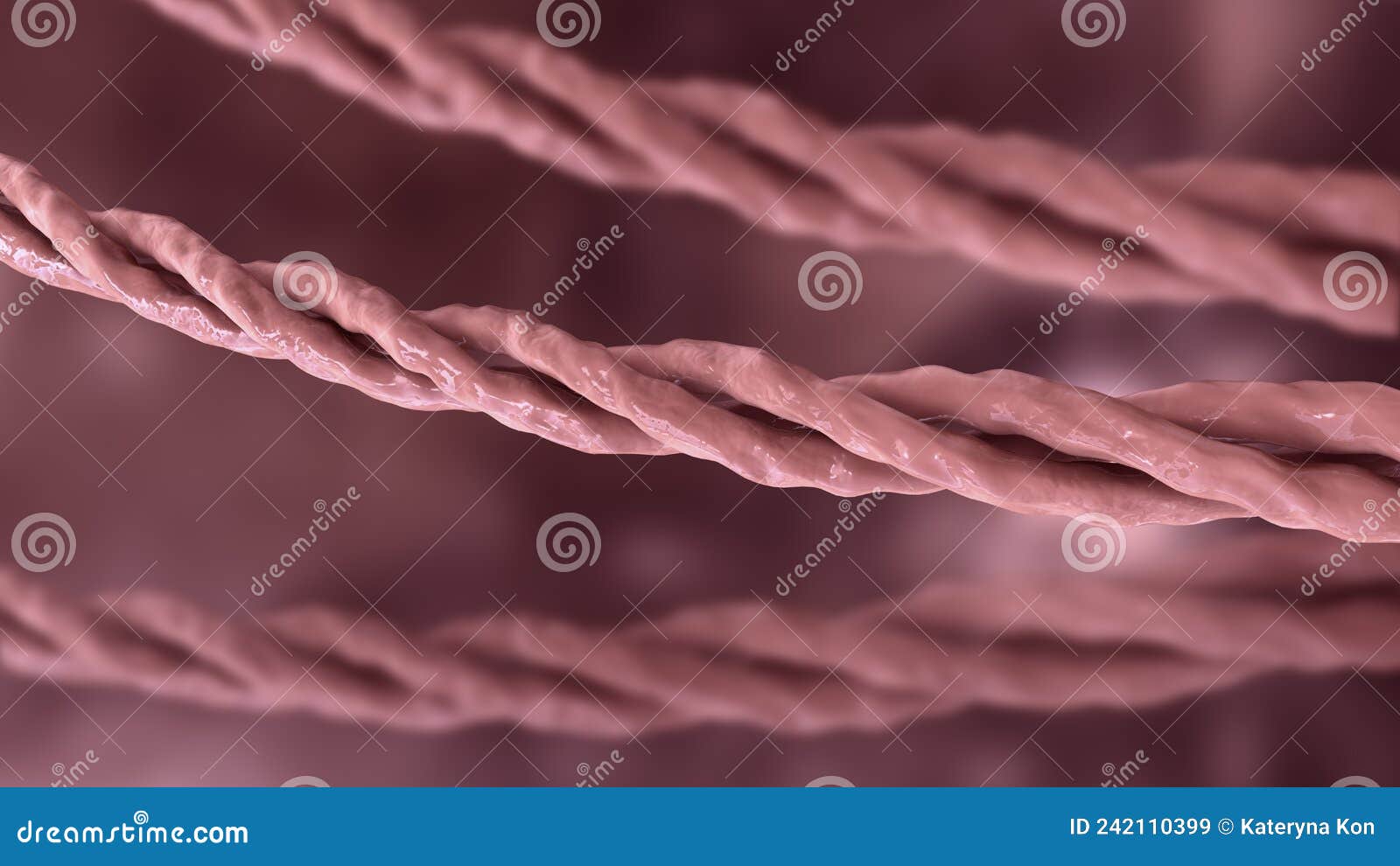 Collagen Triple Helix Molecules, 3D Illustration Stock Illustration ...